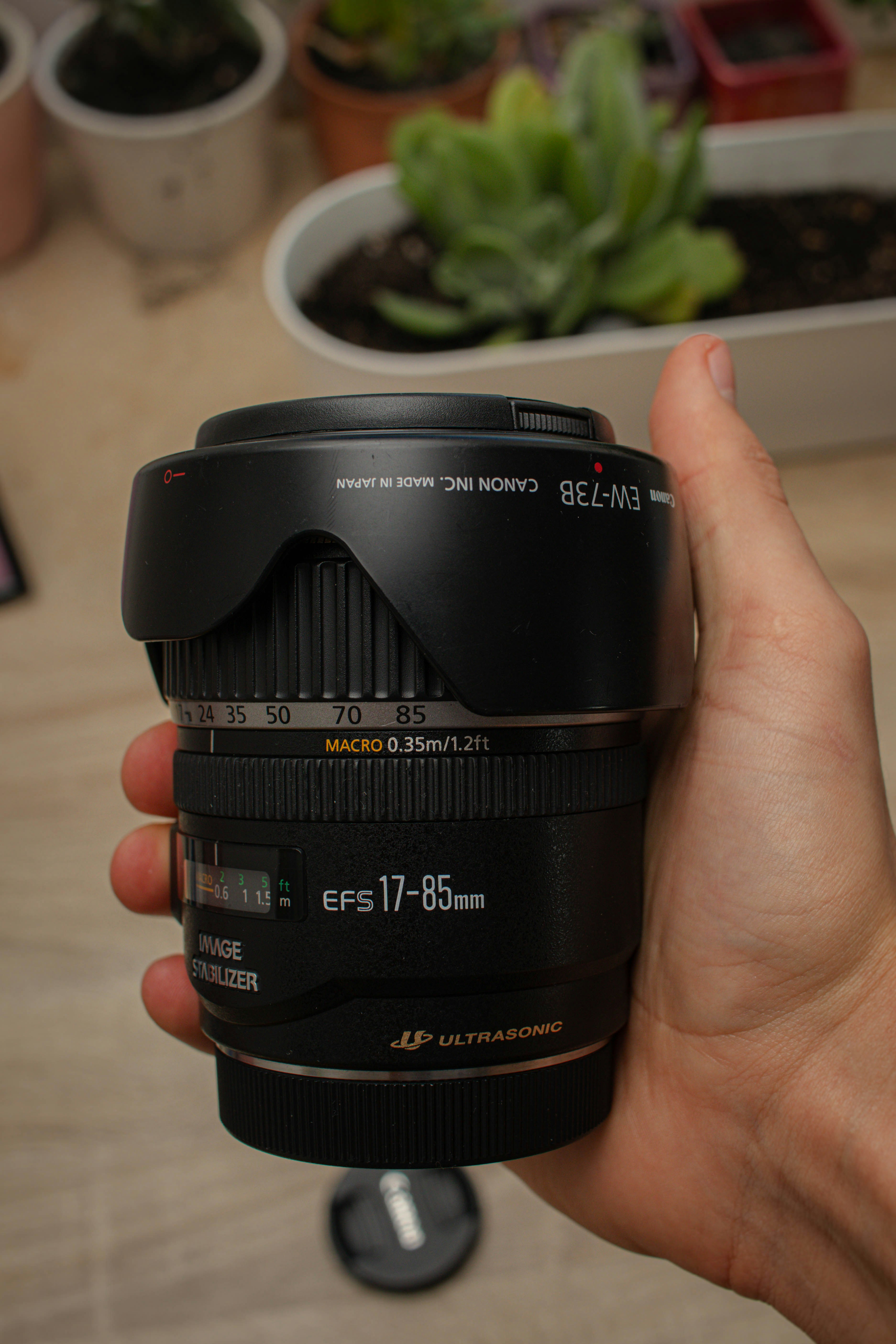 Macro Grip: A Lens-laden Hand Takes Center Stage