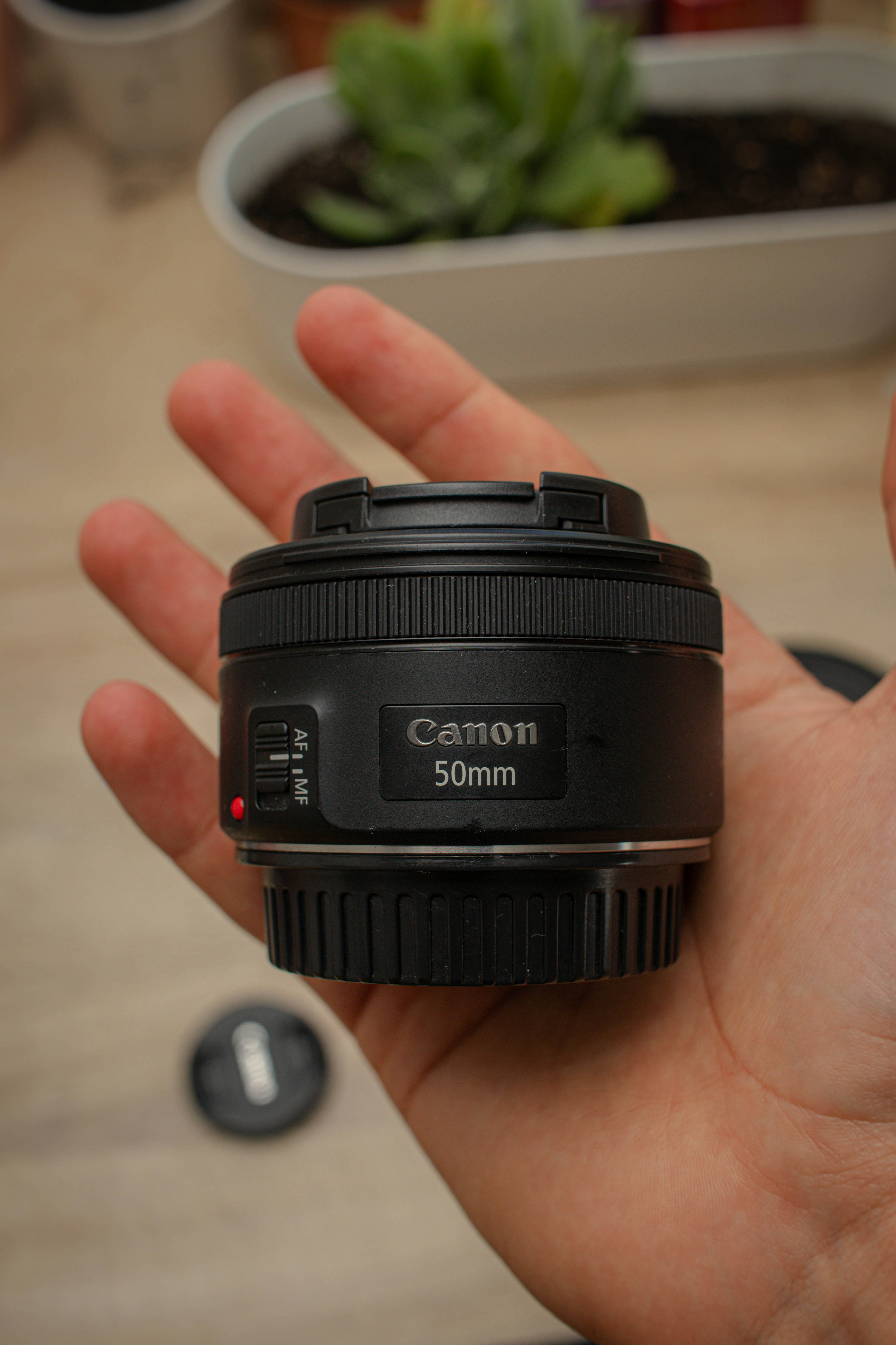 Close-up of a Canon 50mm lens resting in a hand, with a shallow depth of field and a blurred indoor background. The scene highlights the lens as the focal subject and indicates a product or setup context.