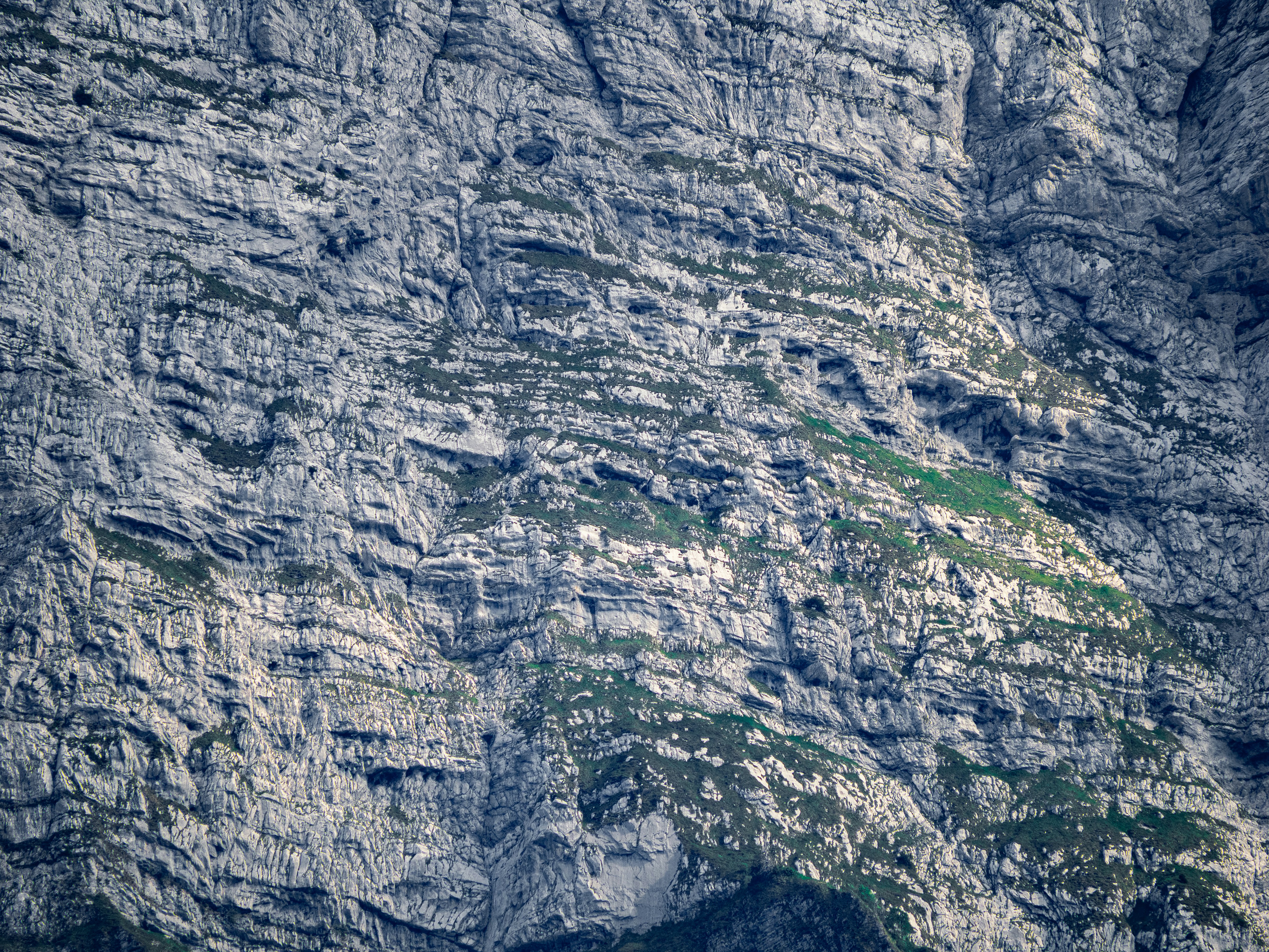 Stone Carvings: A Close-Up of Alpine Rock Textures