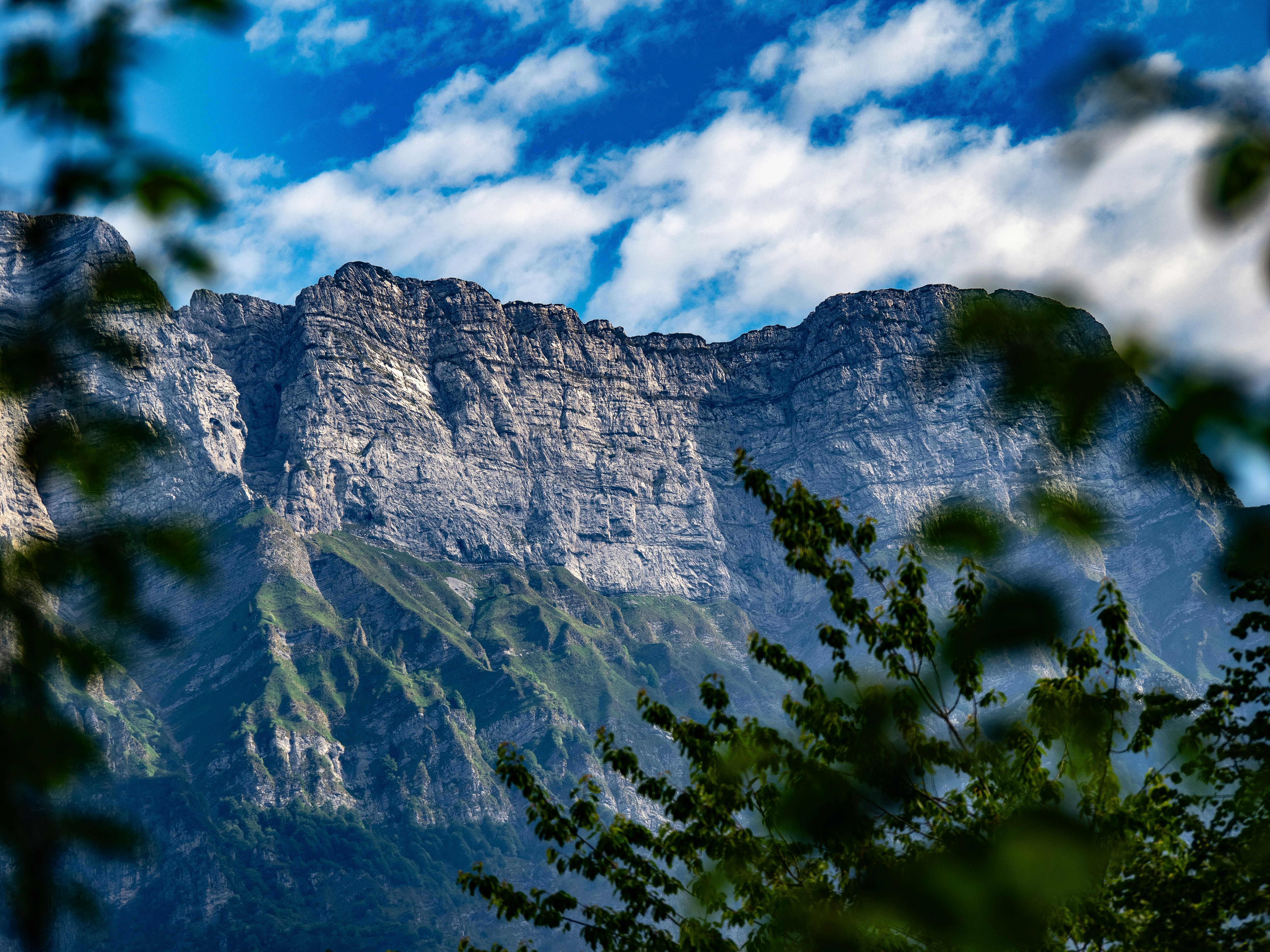 Verdant Framing of Alpine Cliffs