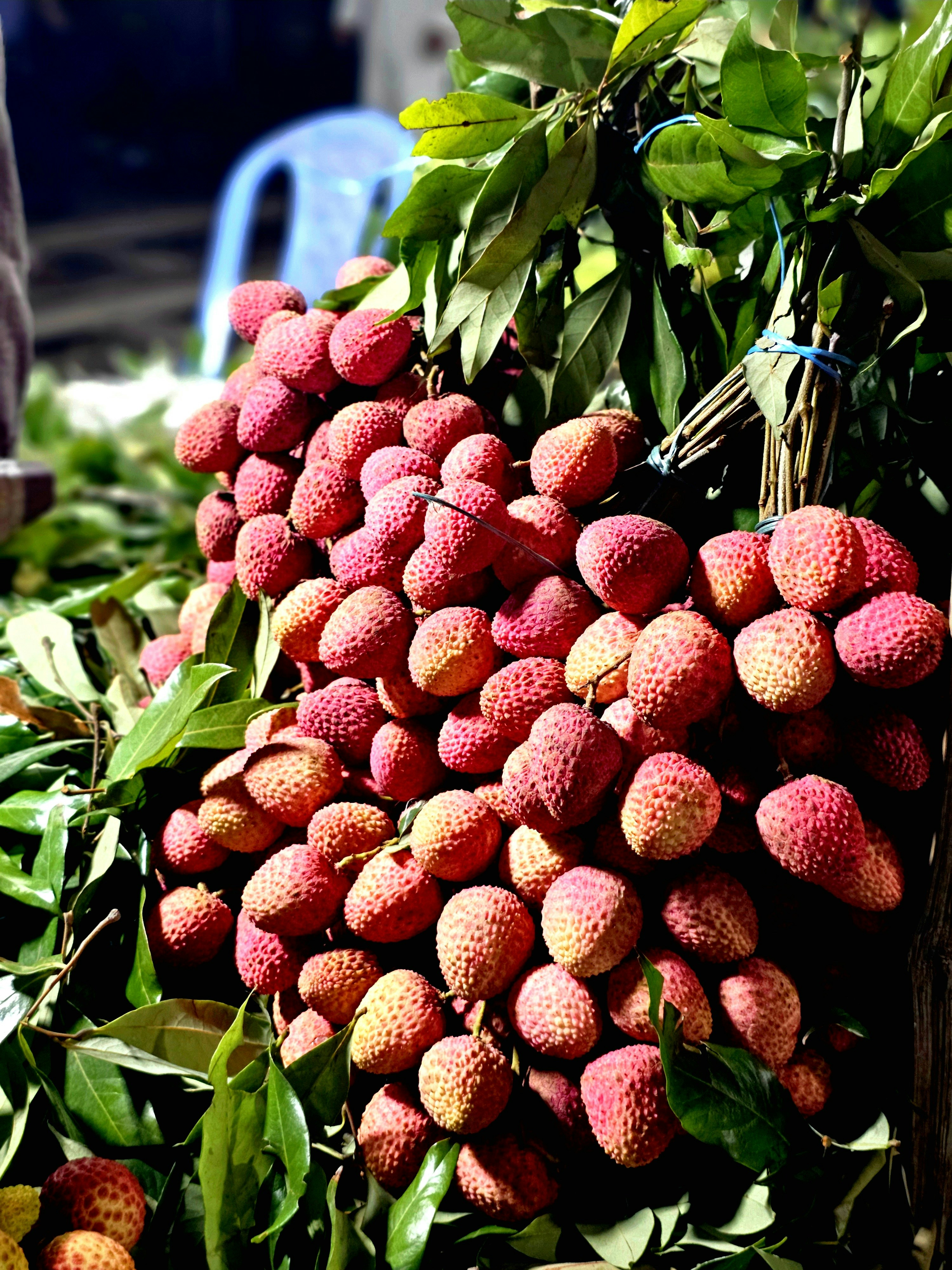 Vibrant Bounty: A Pyramid of Lychee-like Fruits at Market Stall