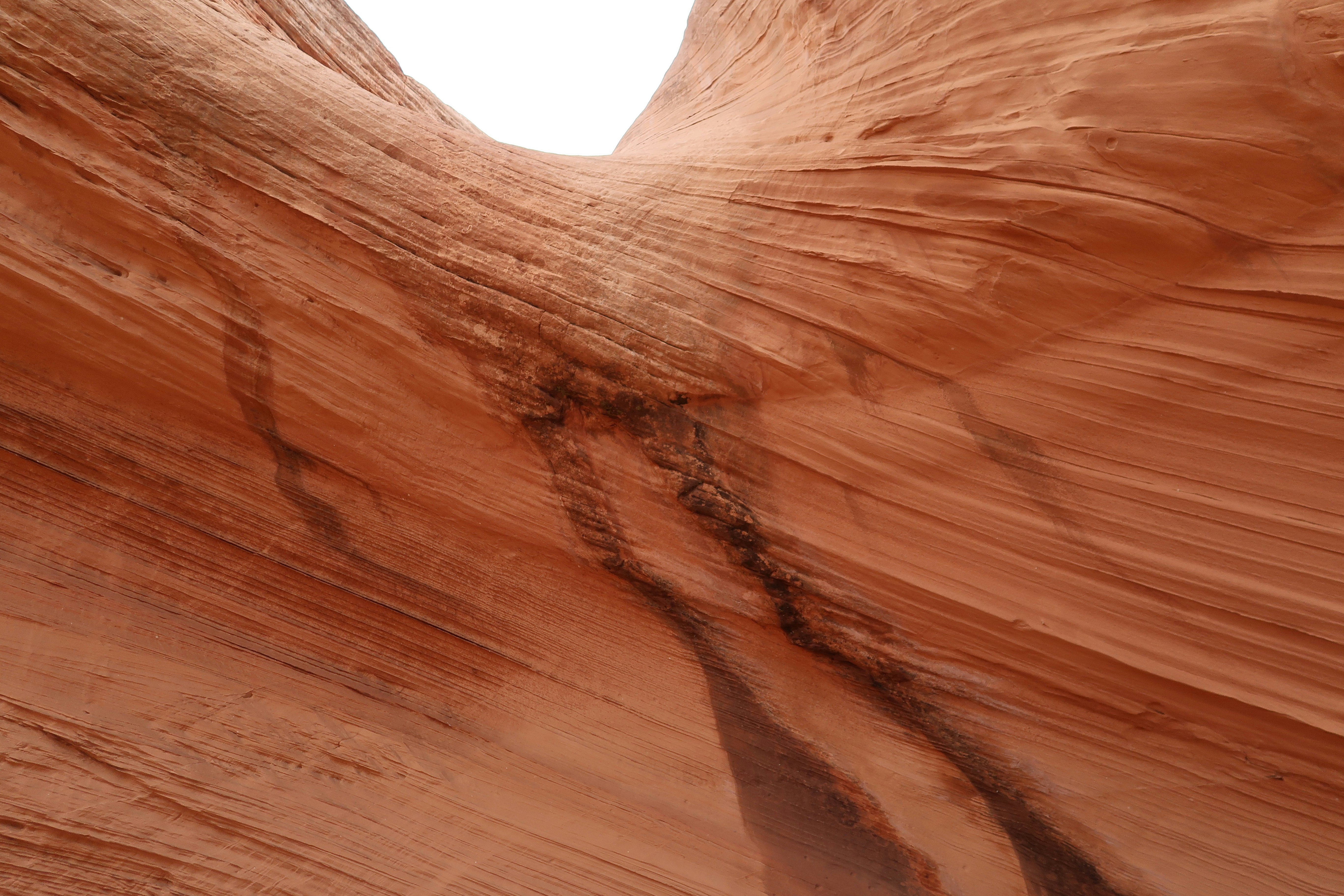 Windswept Red Canyon: Whispered Striations in Sandstone