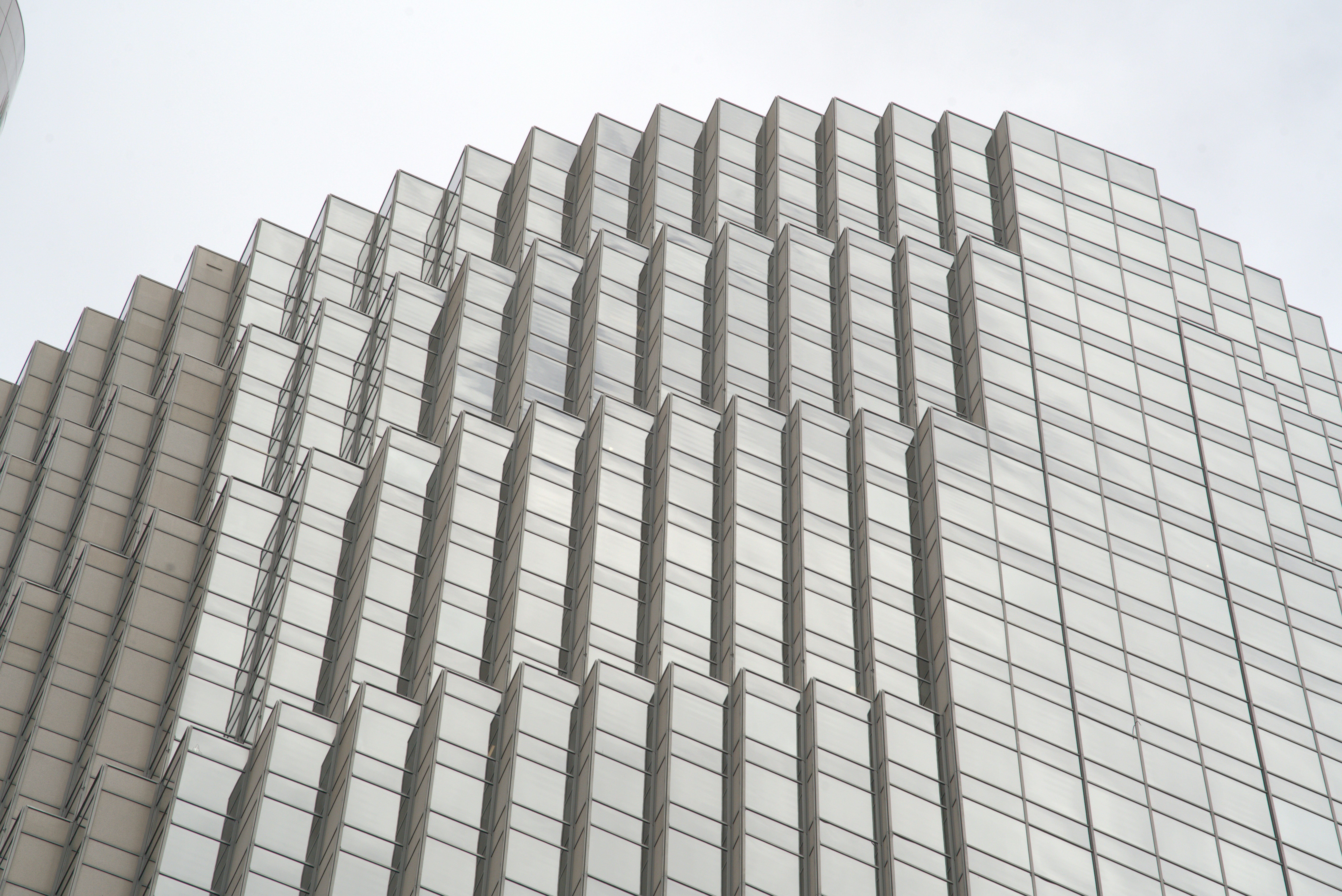 Ribbed Facade Constellation