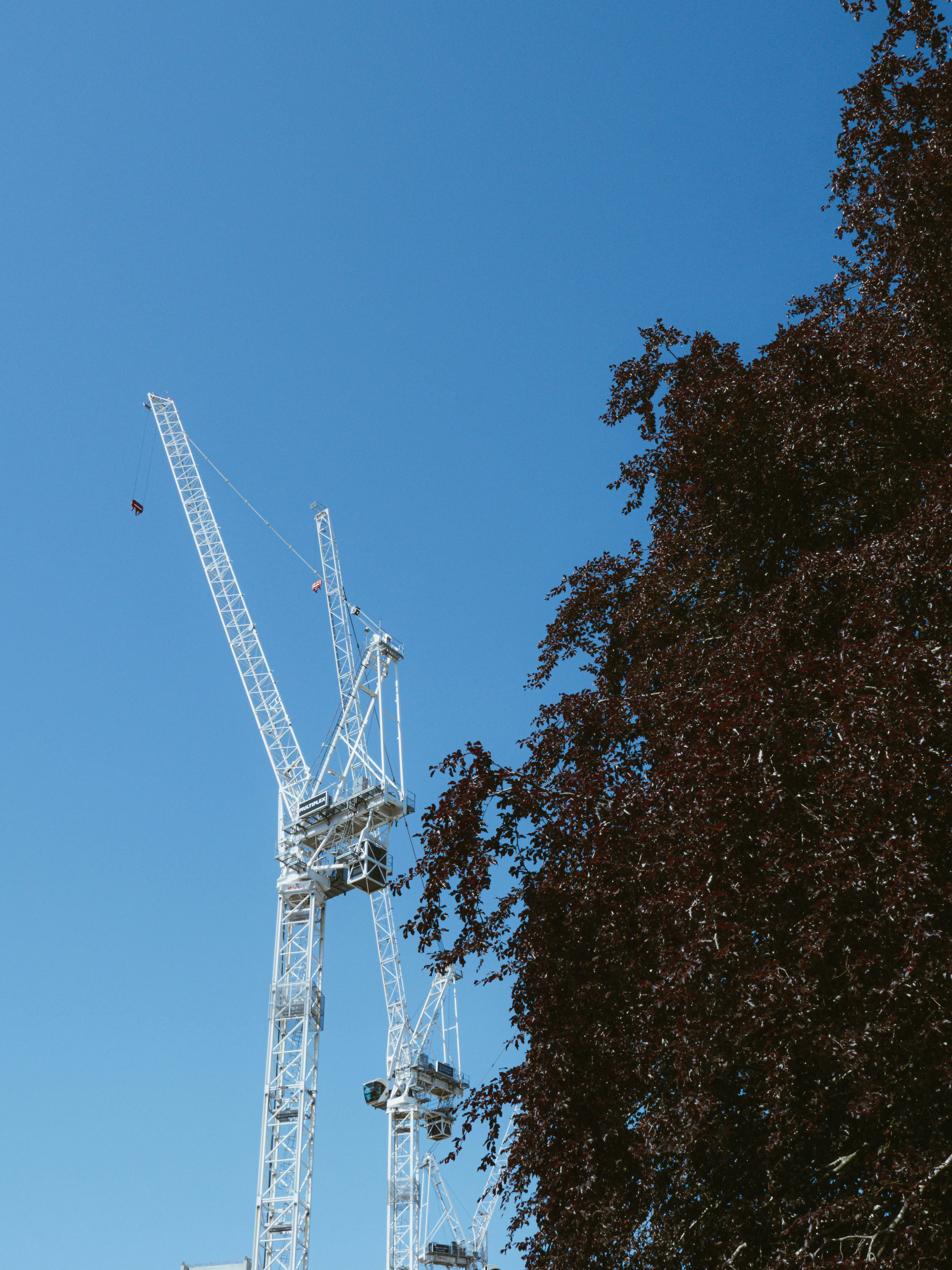 Crane Lattice Against a Bright Sky
