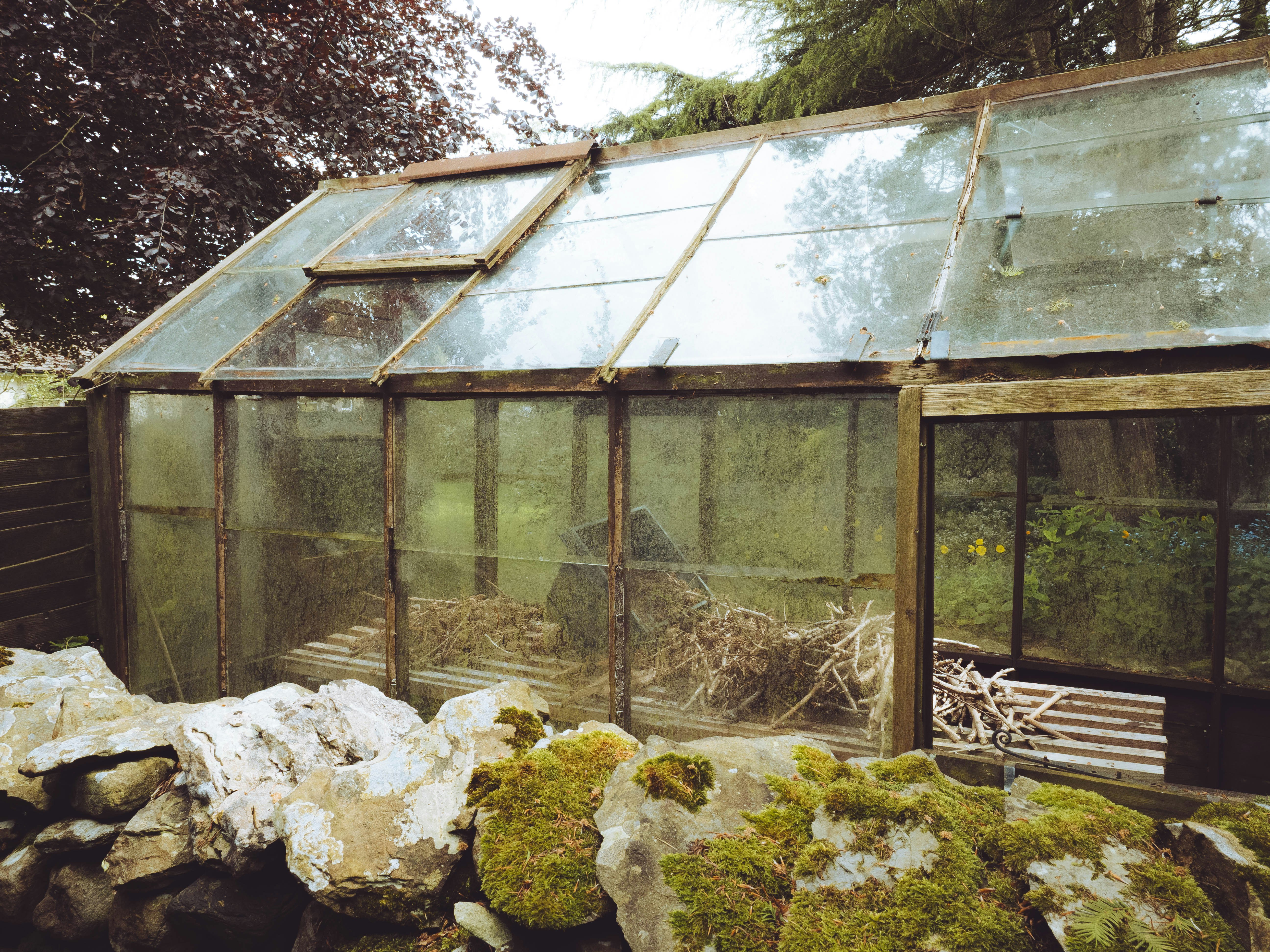Greenhouse Memories: Mossy Stones and Glass Panels