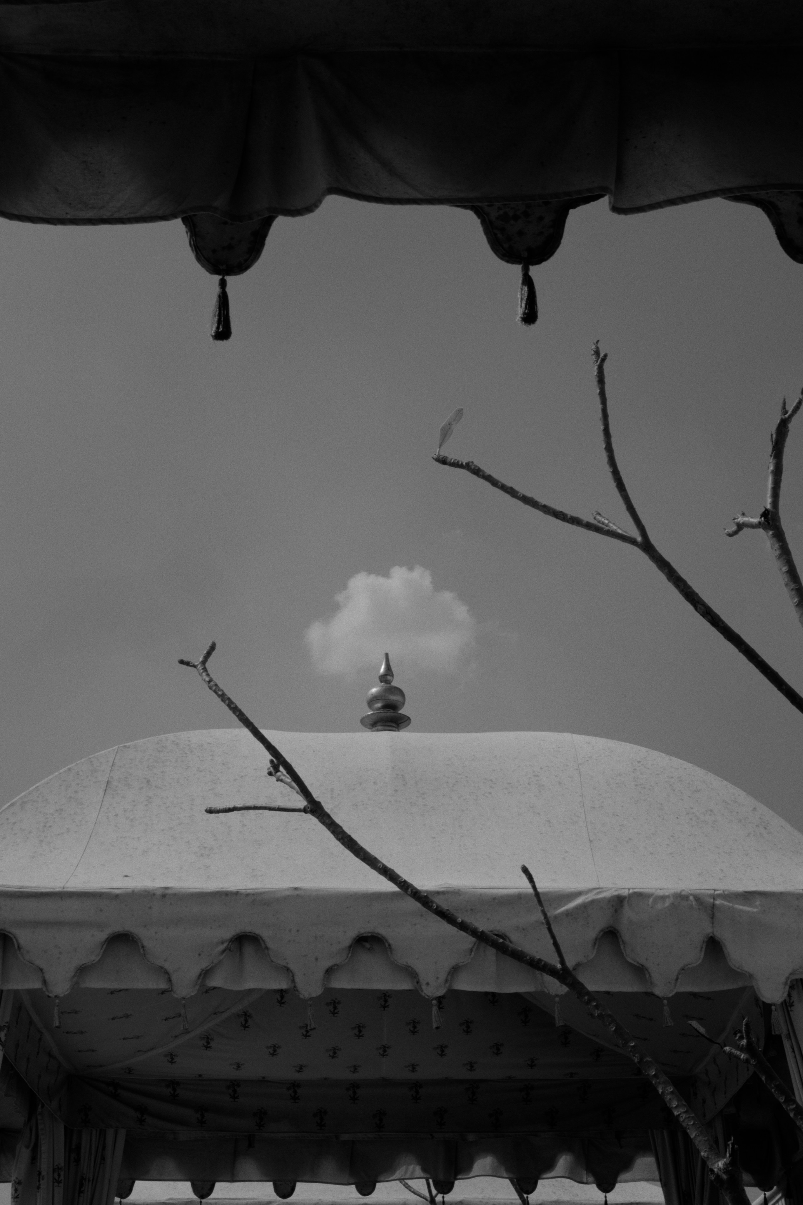 Overcast Dome: Silent Spire Surrounded by Bare Branches