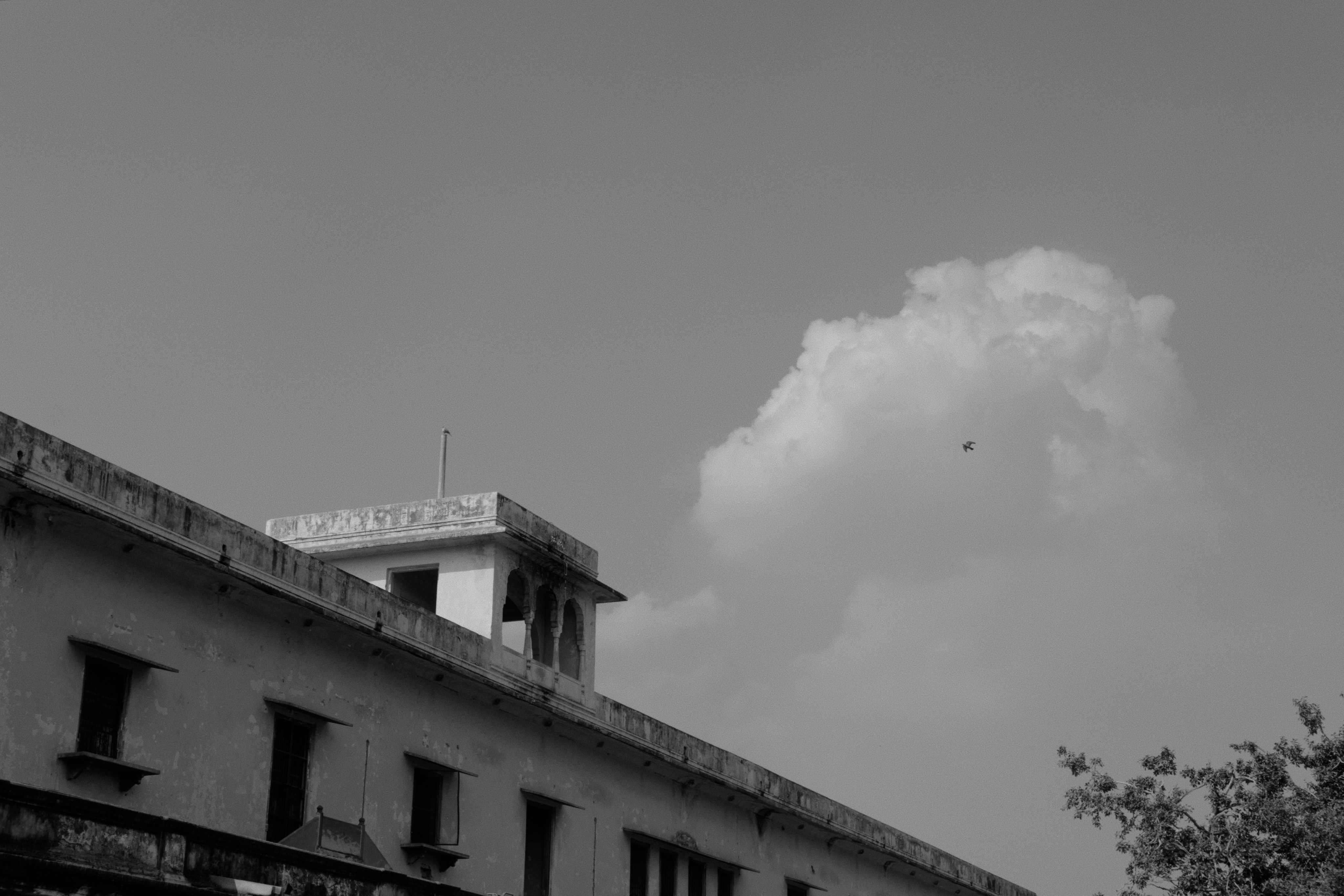 Urban Silhouette: A Weathered Roof Under a Quiet Sky