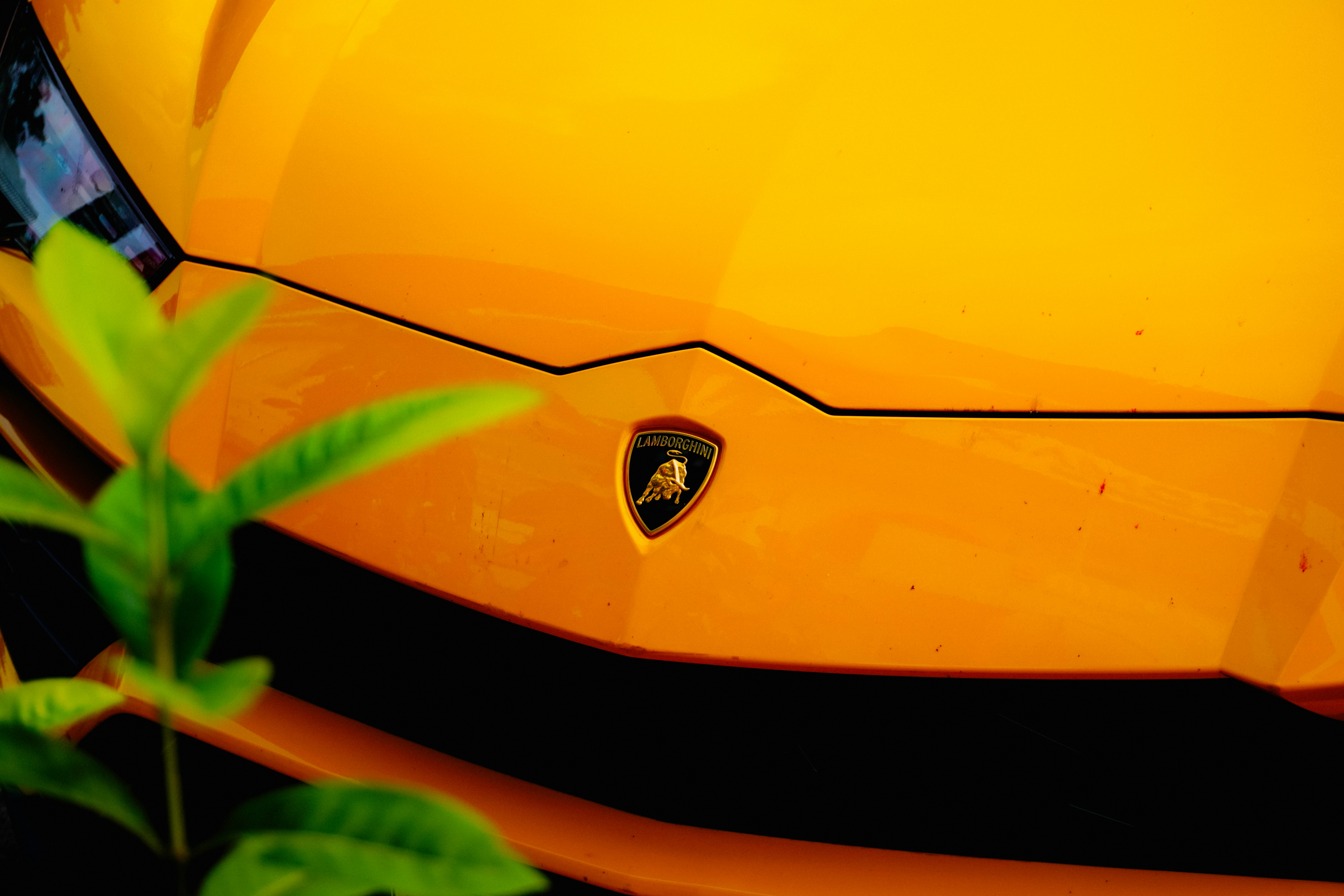 Gleaming Italian Passion: A Lamborghini Orange Glow