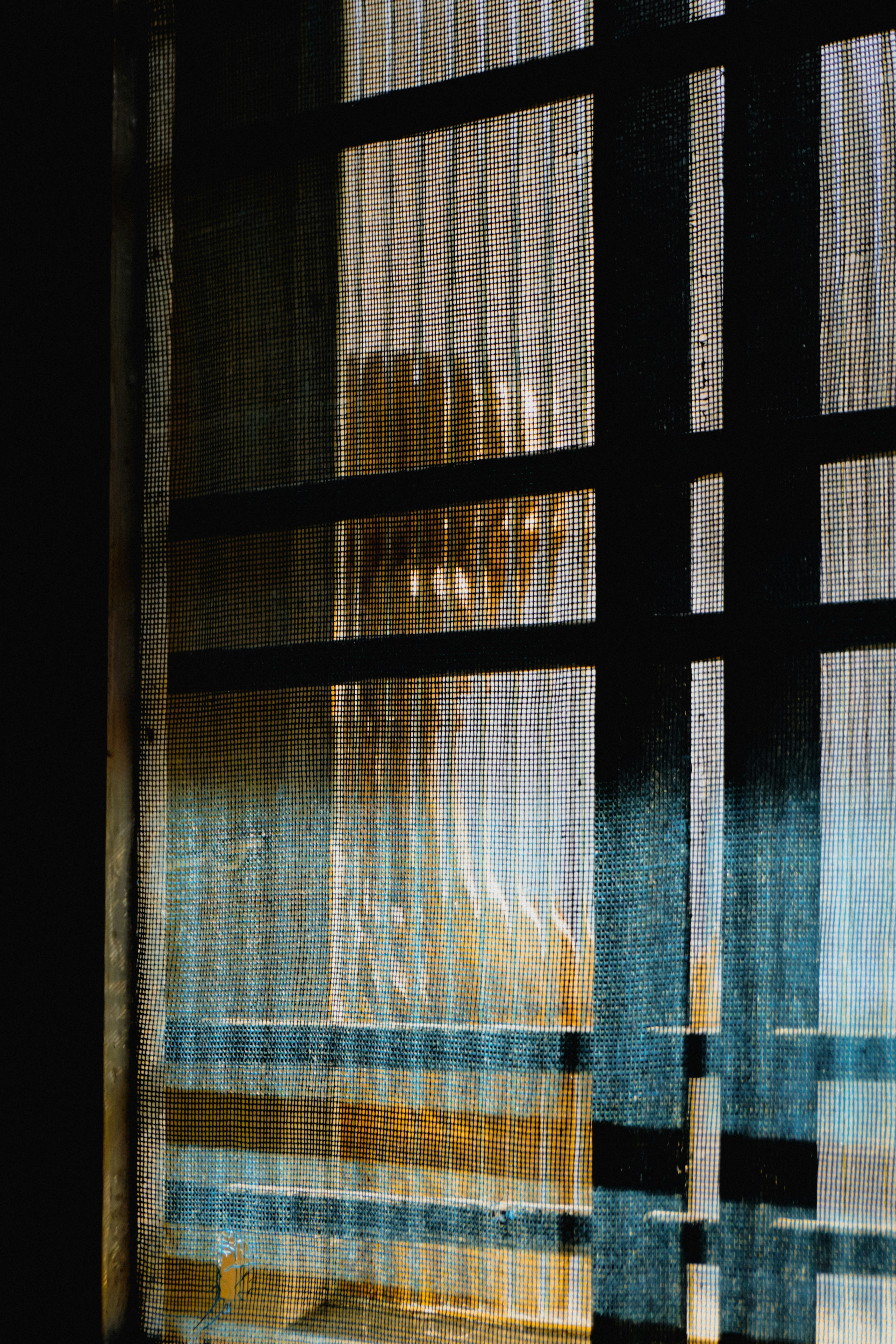Gilded bars through a mesh of shadowed panes