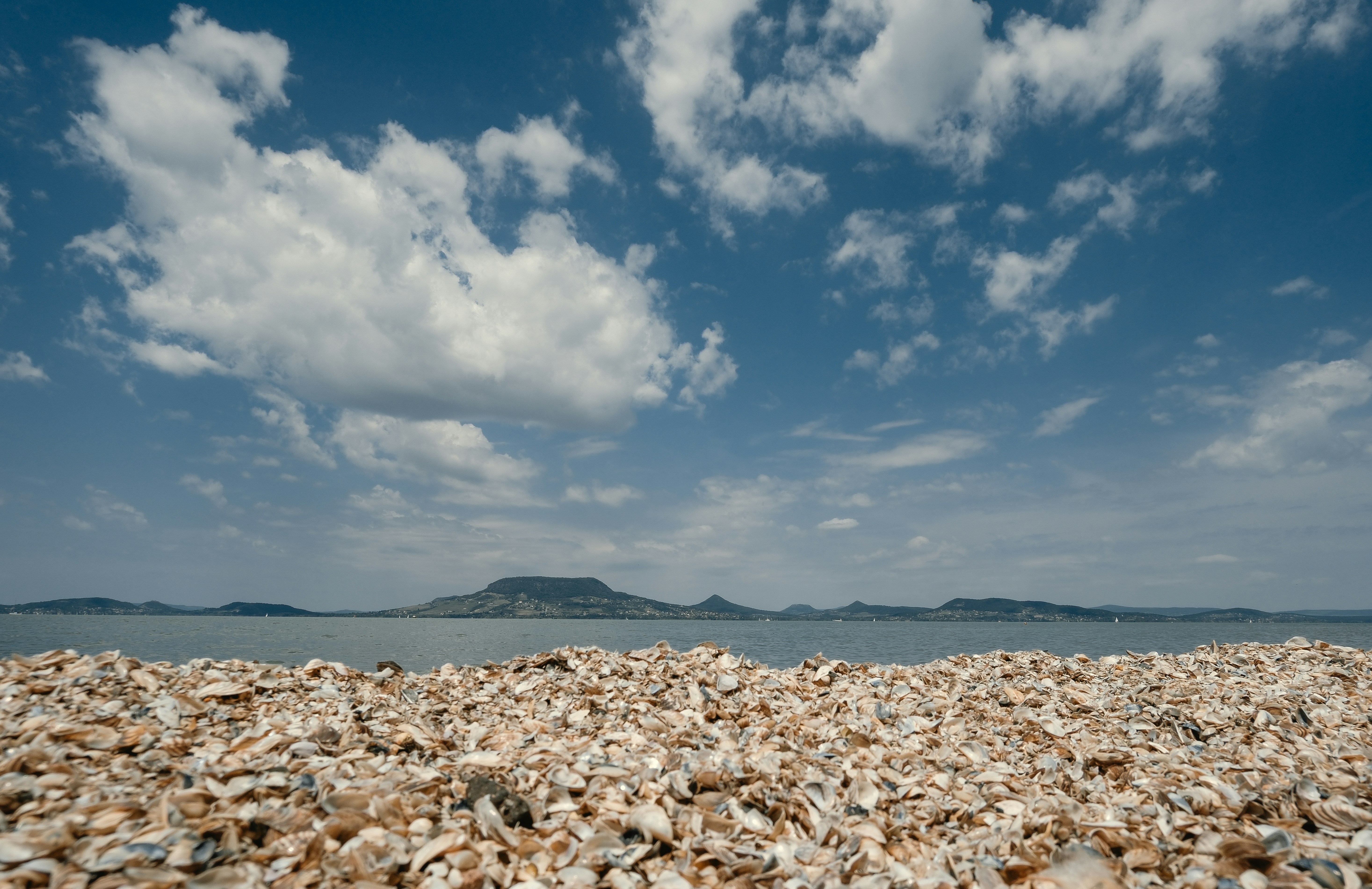 Shell-kissed Shore: A Quiet Horizon Over Pebbled Beach