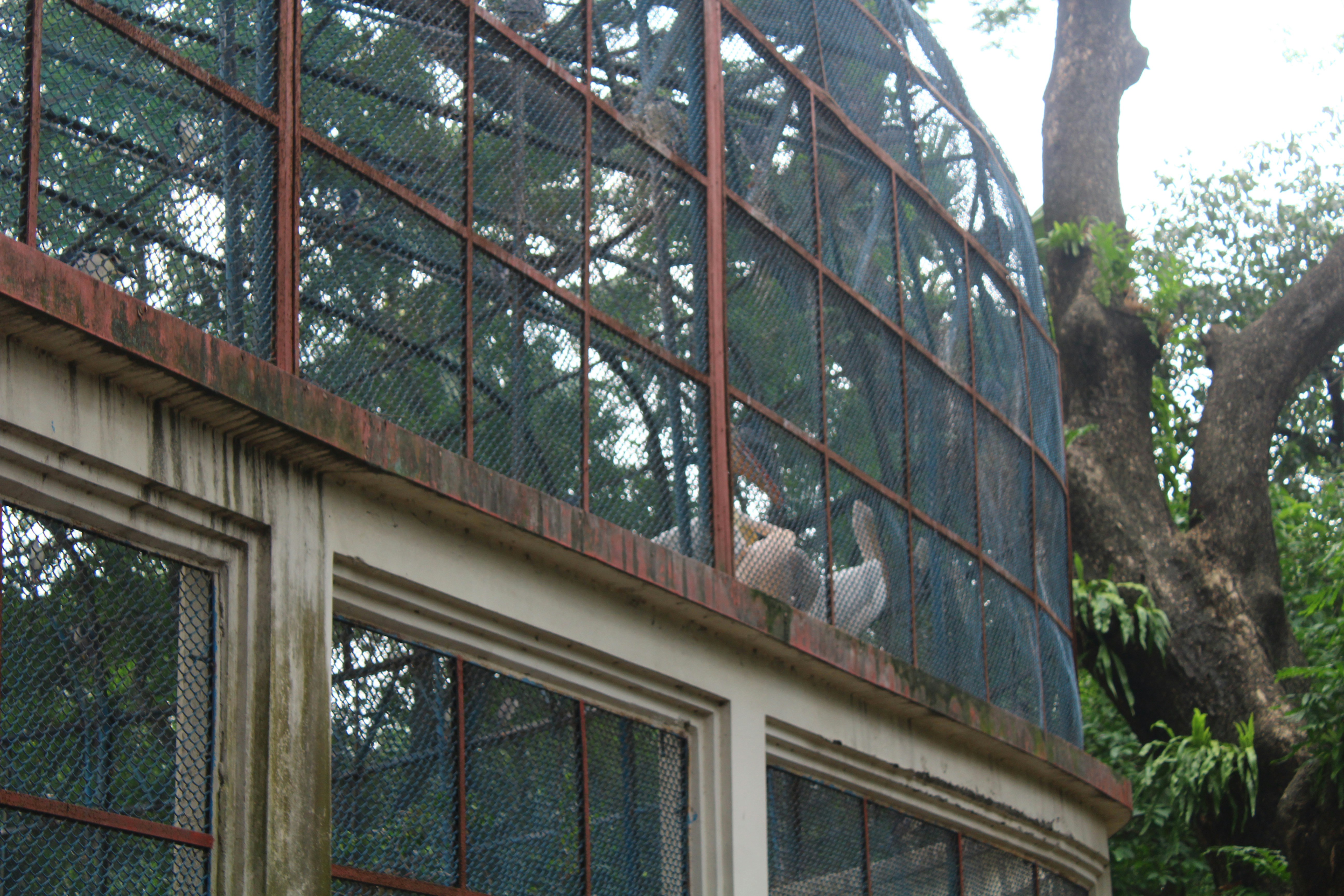 Bird’s-eye Perch Above the Glass-Guarded Veranda