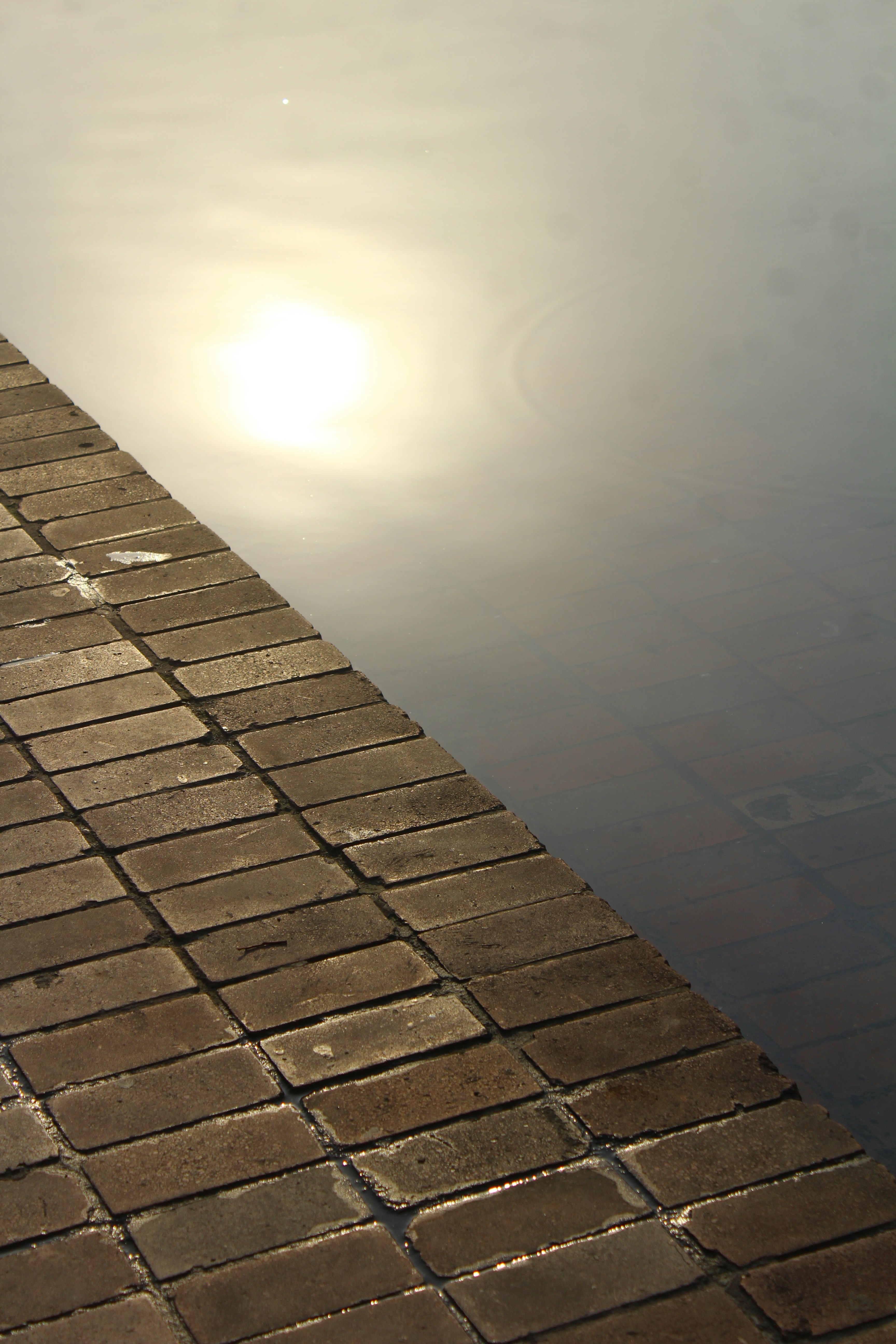 Sunlit Brick Border Along a Quiet Waterline