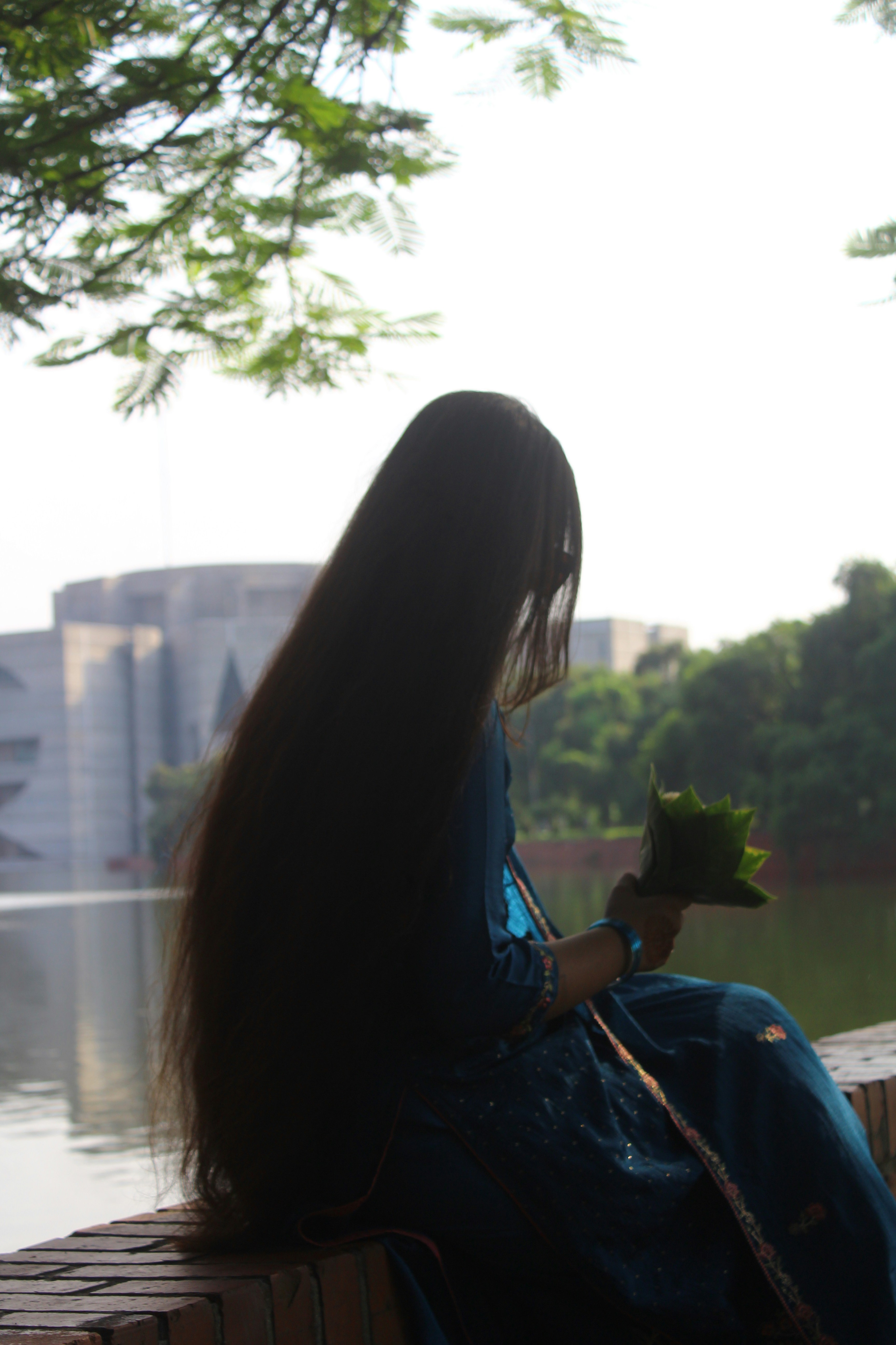 Silhouette by the Water: Quiet Moment with a Leafy Backdrop