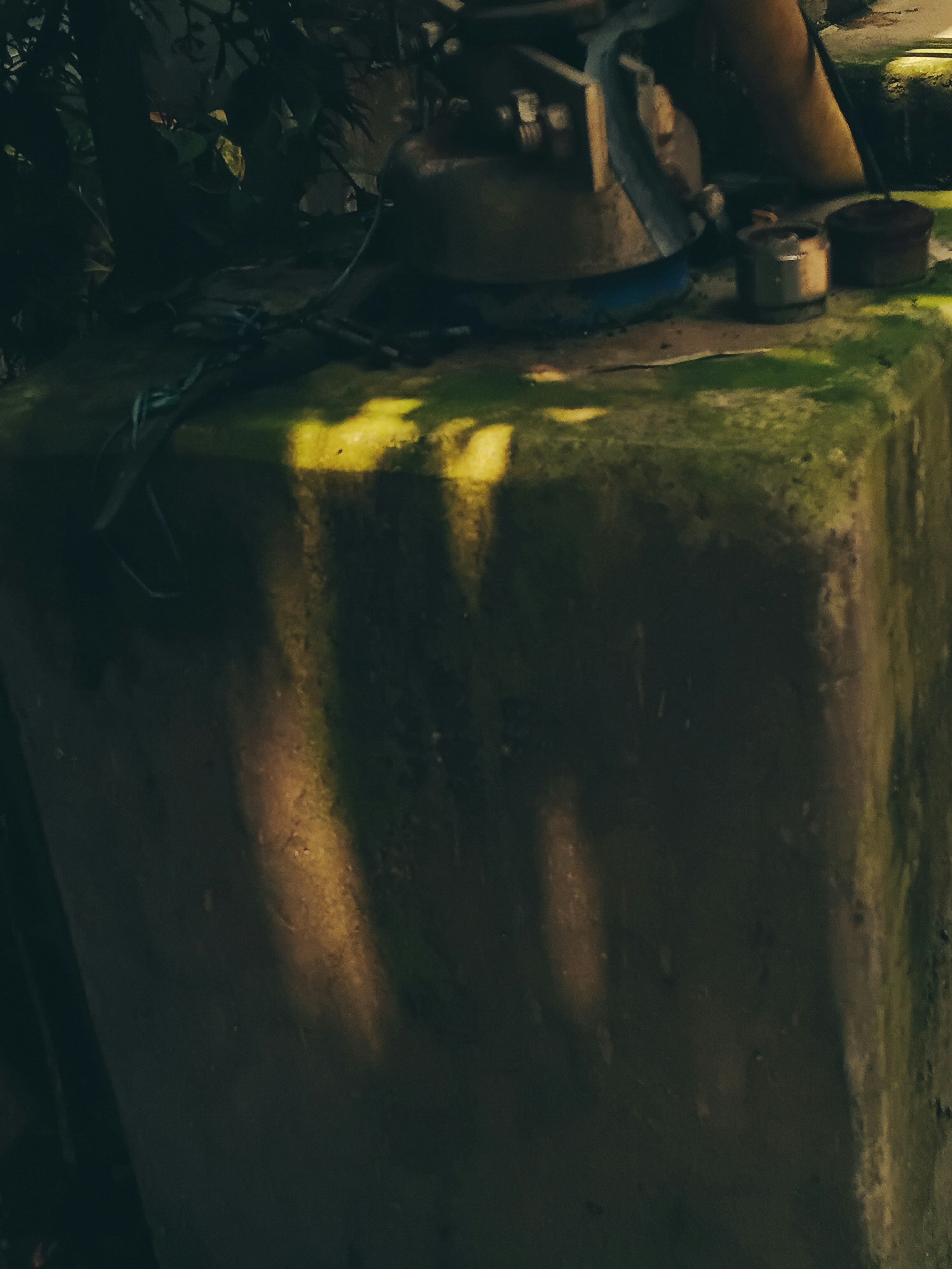  Mossy Concrete Vessel with Mellow Light and Vintage Gear