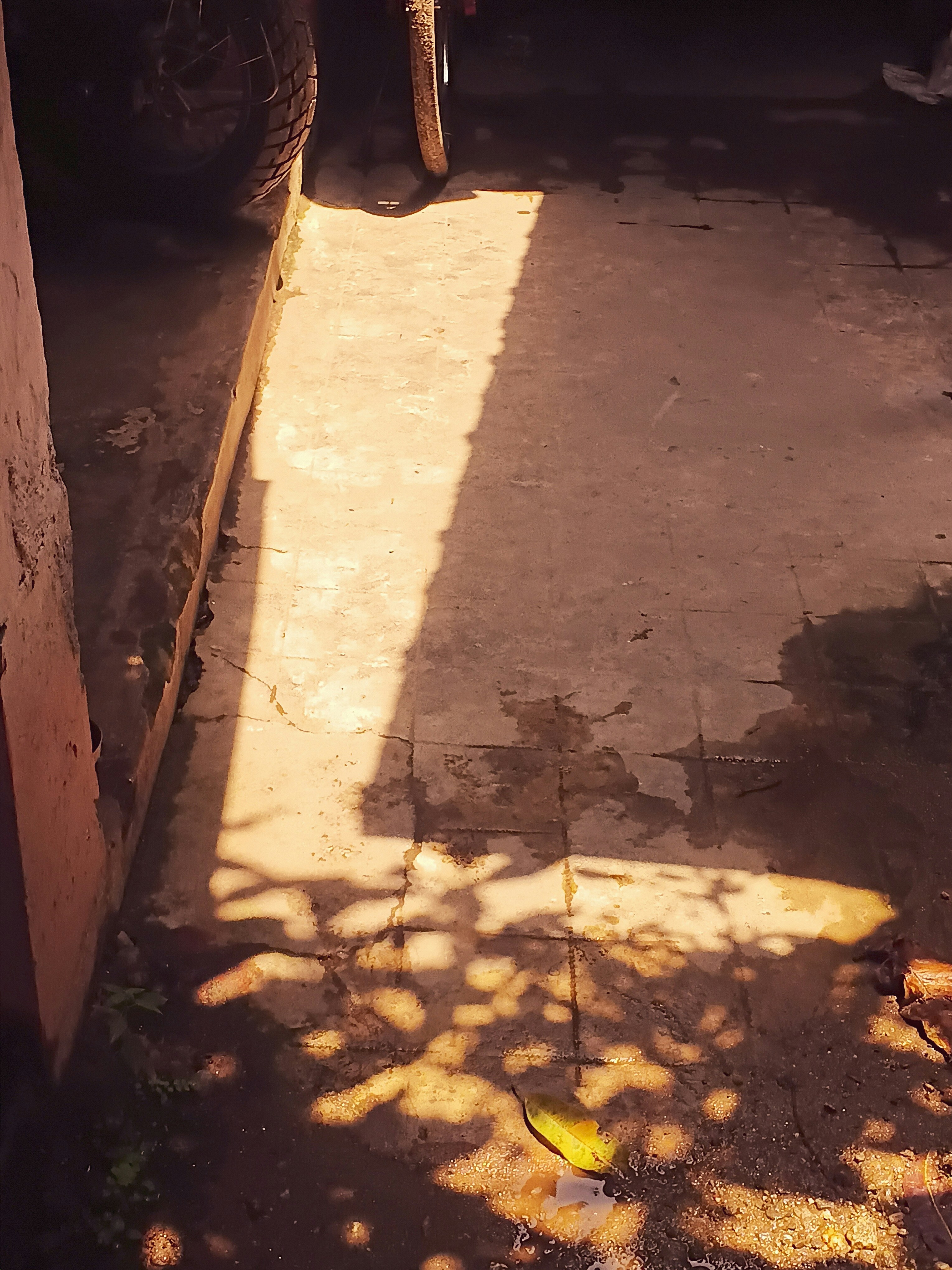 Sunlit Patch on a Quiet Concrete Corridor