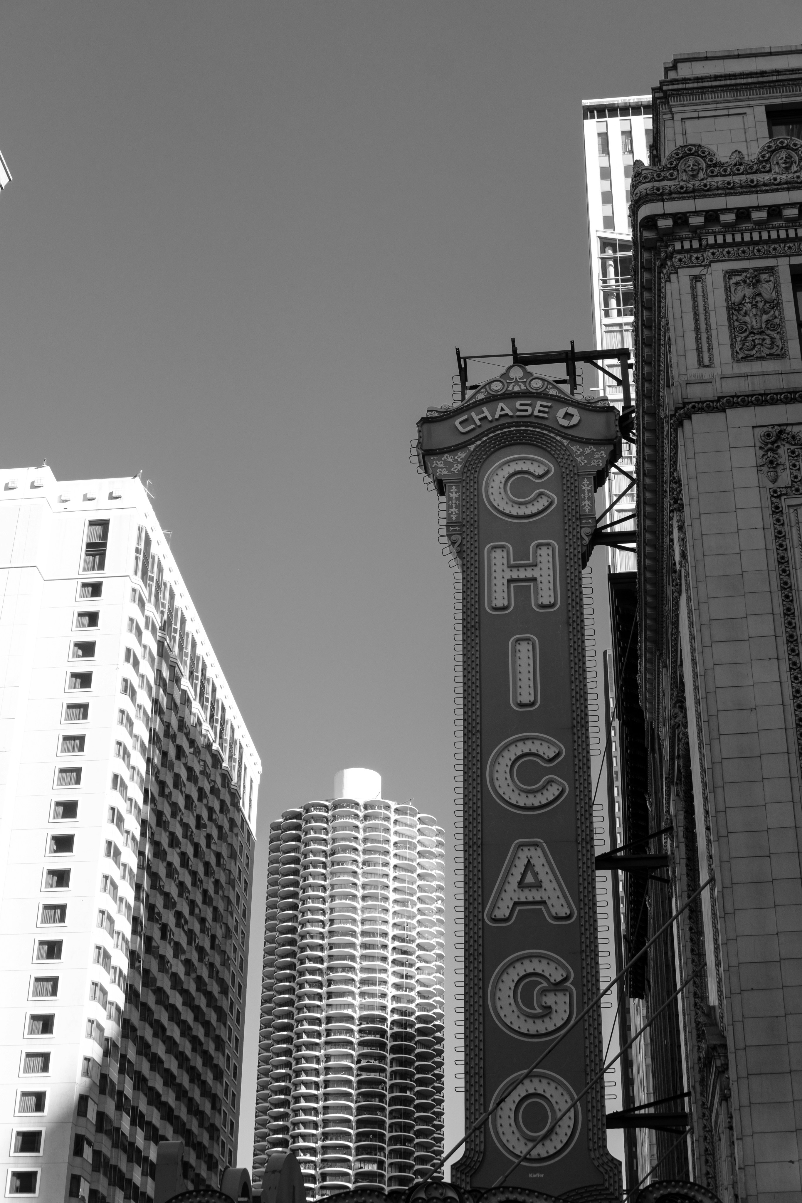 Chic Chicago: A vertical neon sign amid towering silhouettes