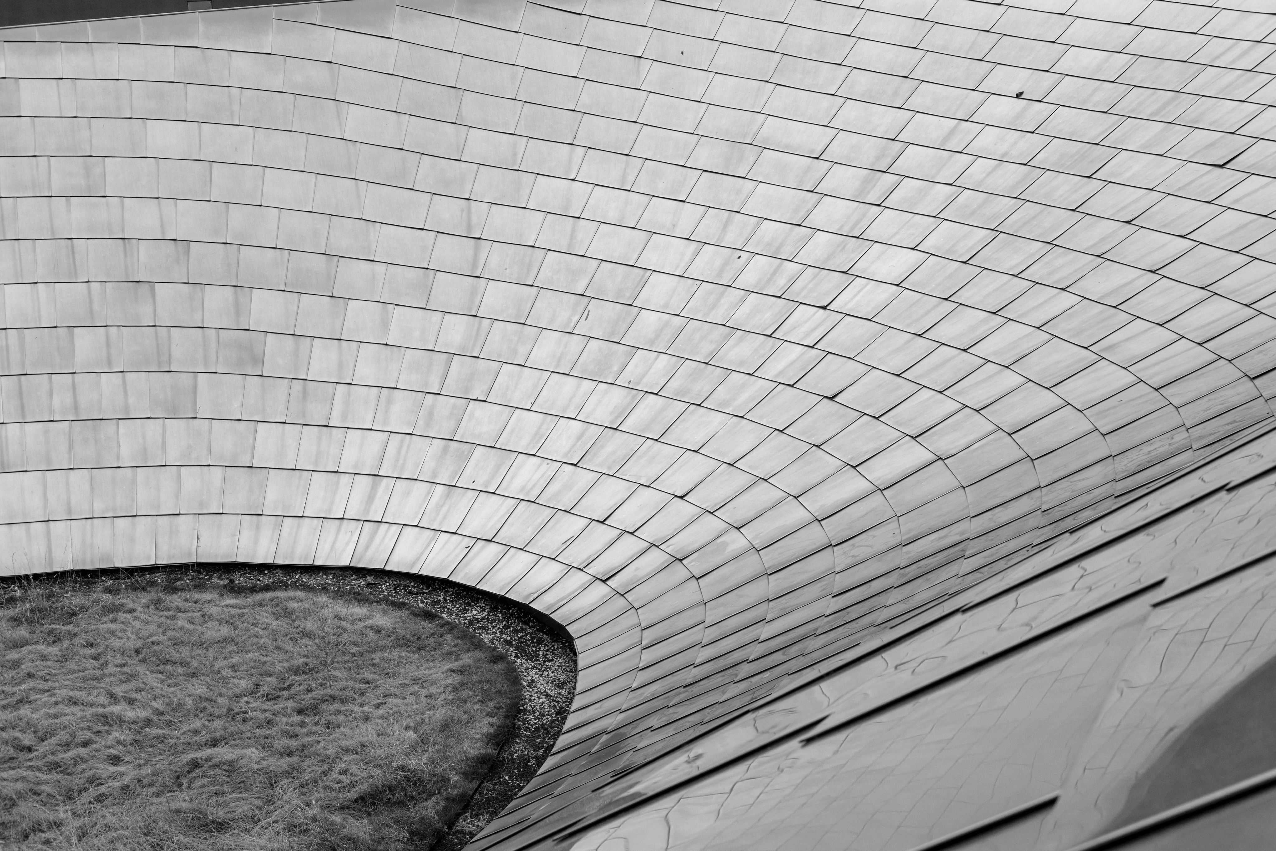 Curved Concrete Ridges: Abstract Geometry in Monochrome