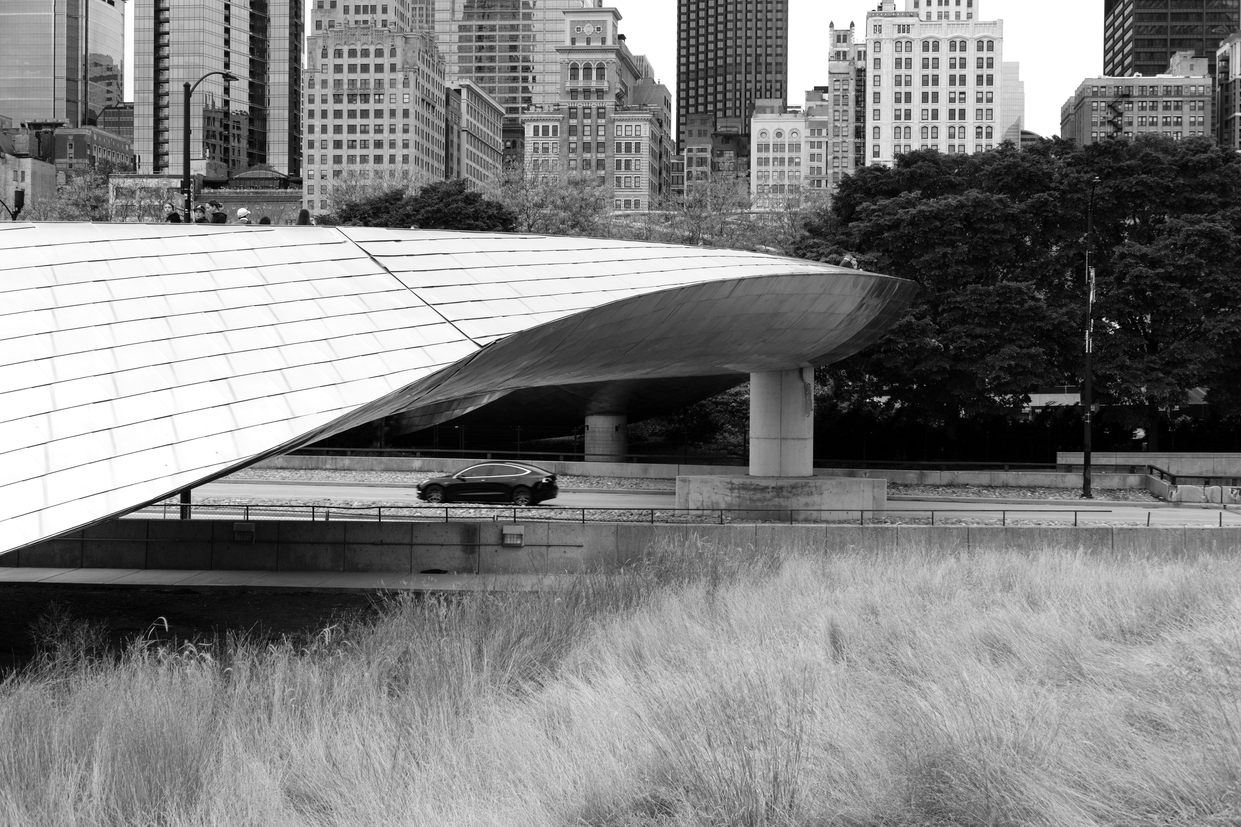 City Overpass: A Concrete Canopy and Silver Stream
