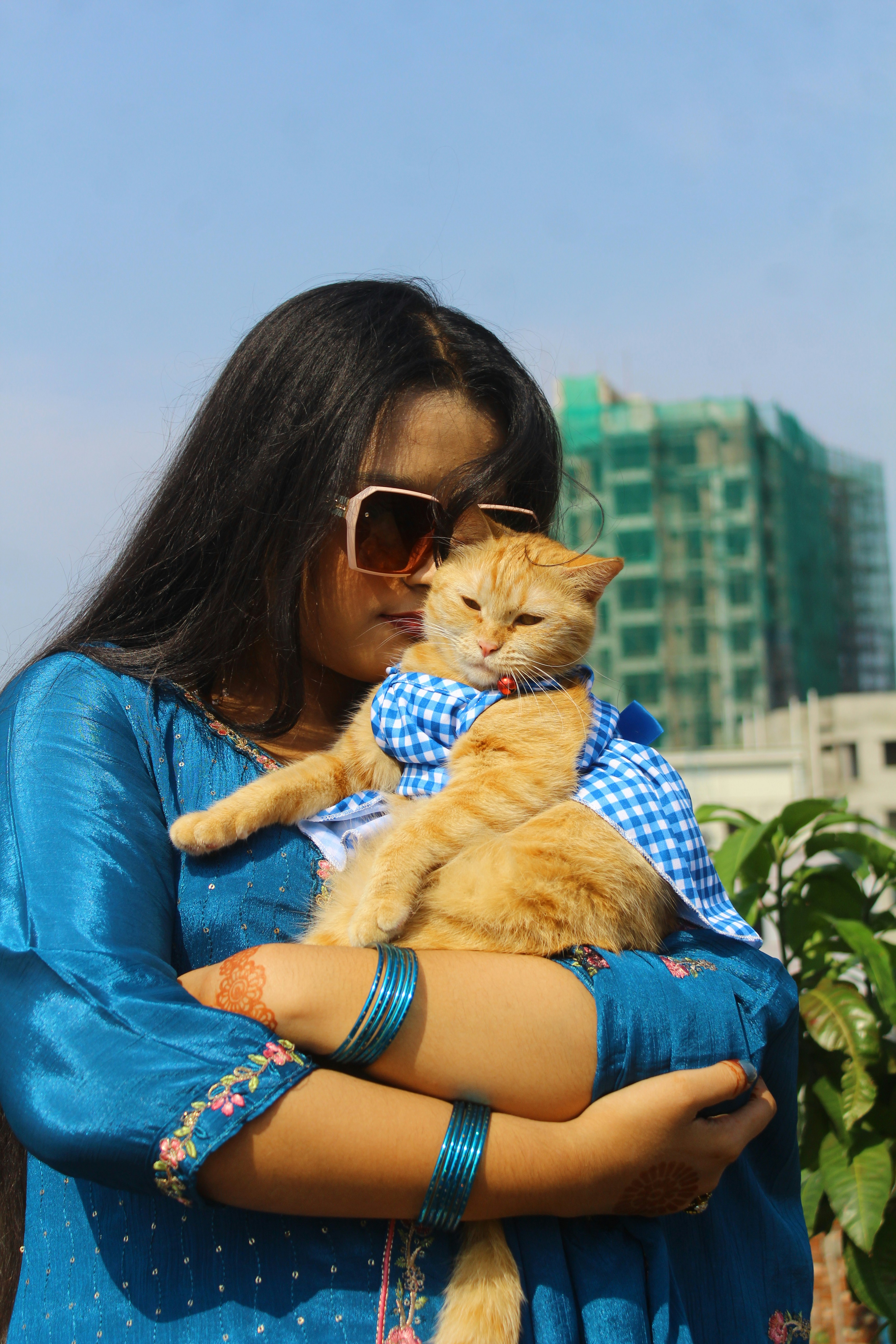 Blue-Kissed Portrait: A Woman Embracing a Fluffy Orange Cat in Sunlit Urban Terrace