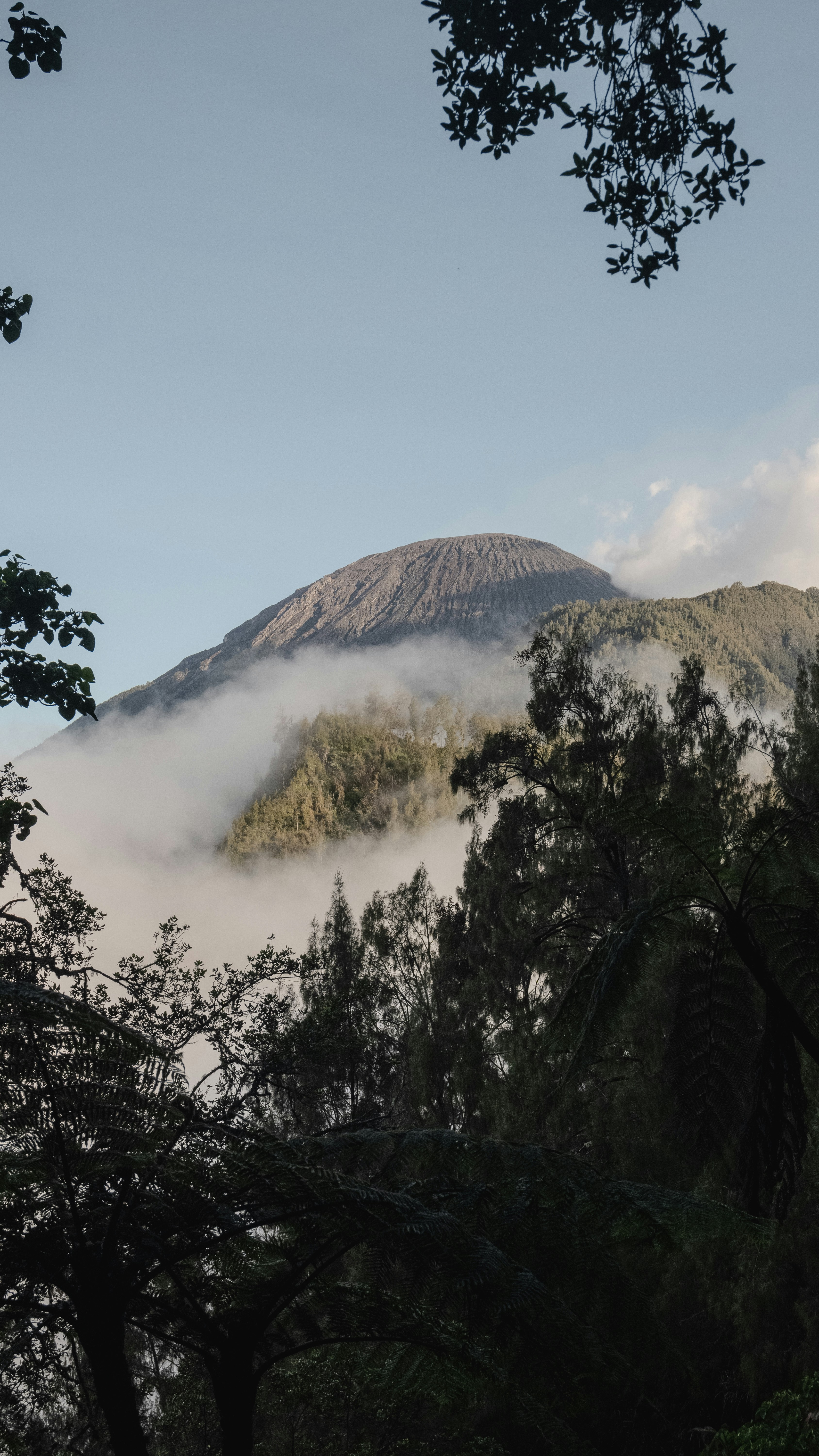 Misty Summit: A Lone Peak Emerging from Morning Fog