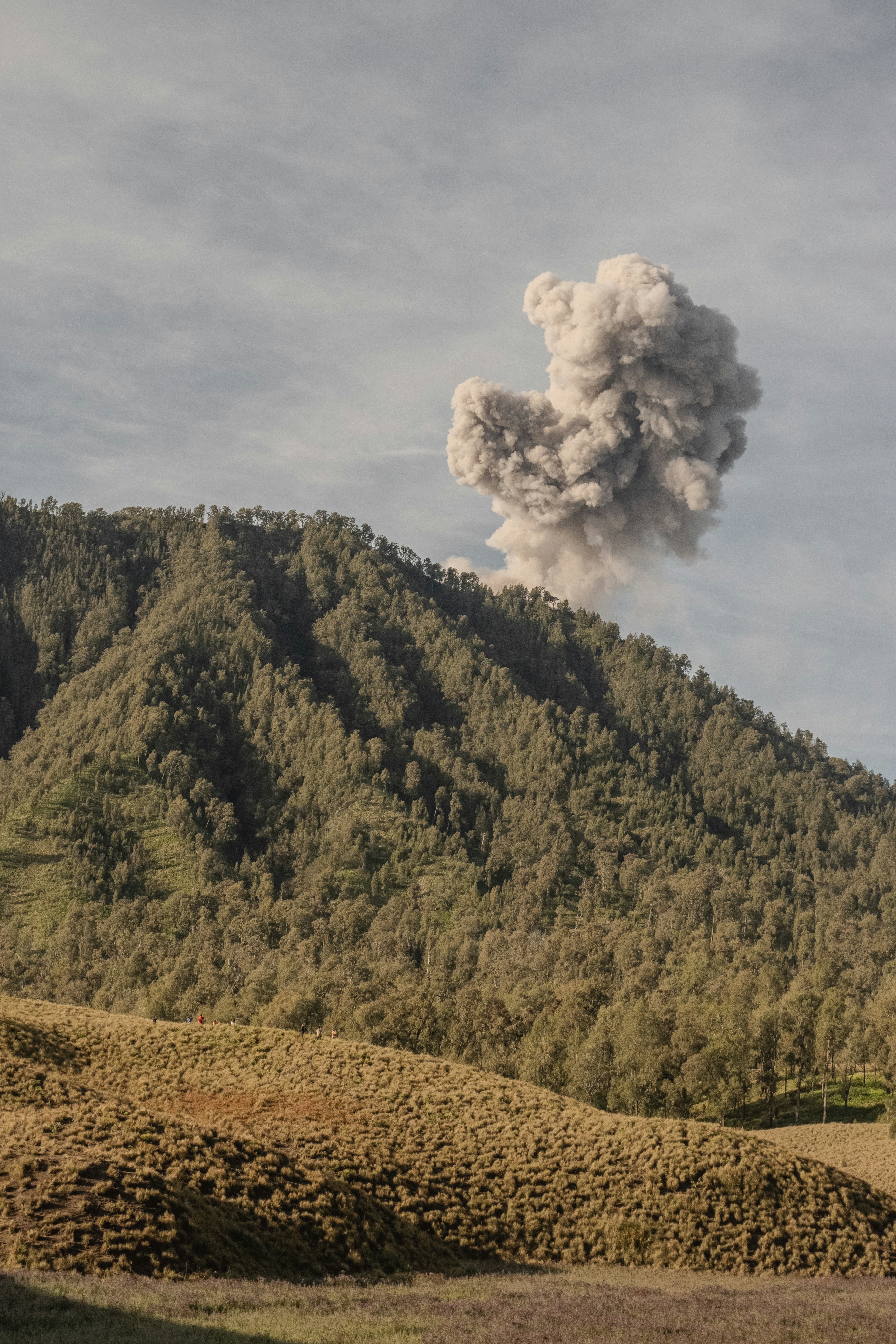  plume over the hillside: a distant eruption on the ridge