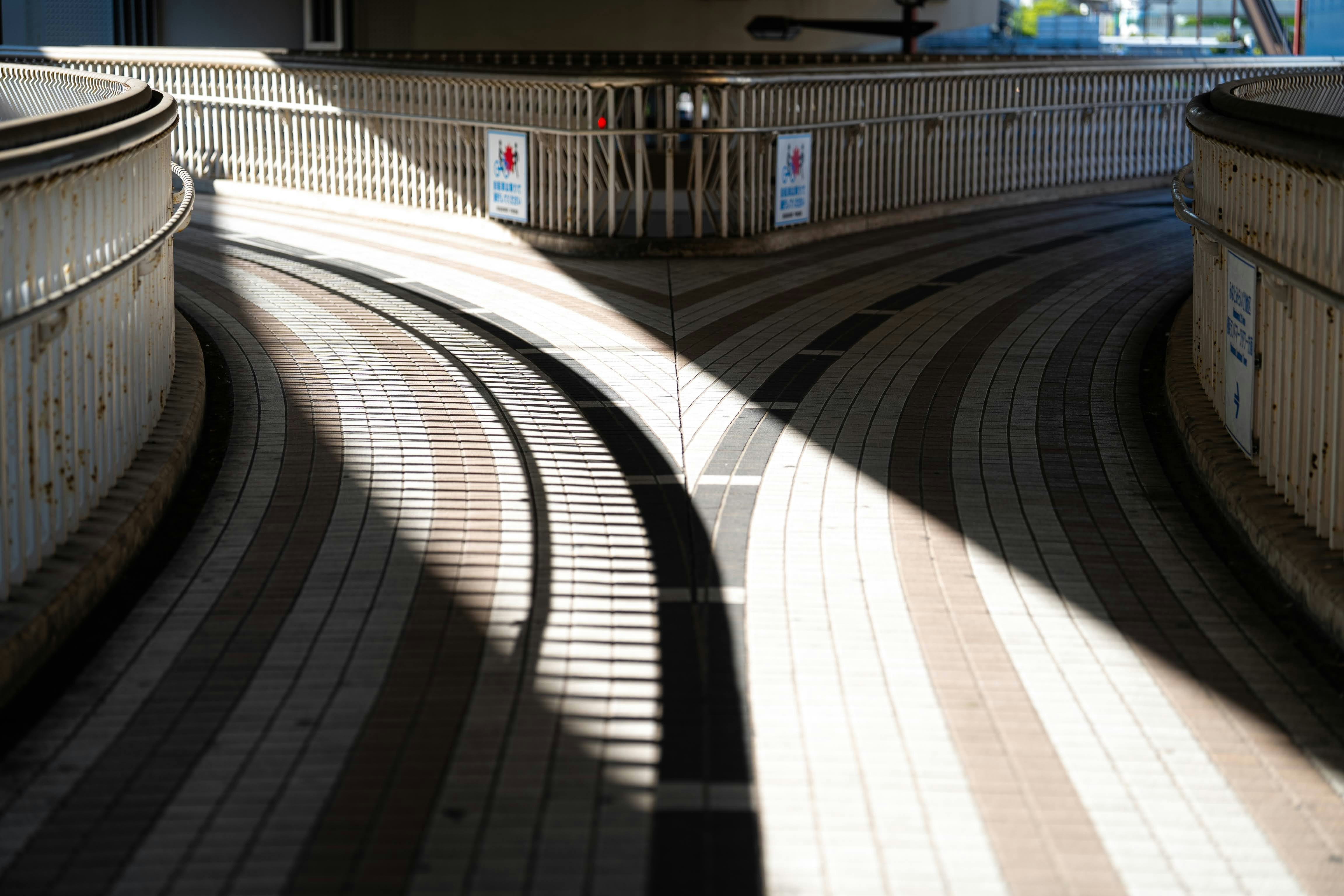 Shadowed Curve: A Corridor of Light and Ribs