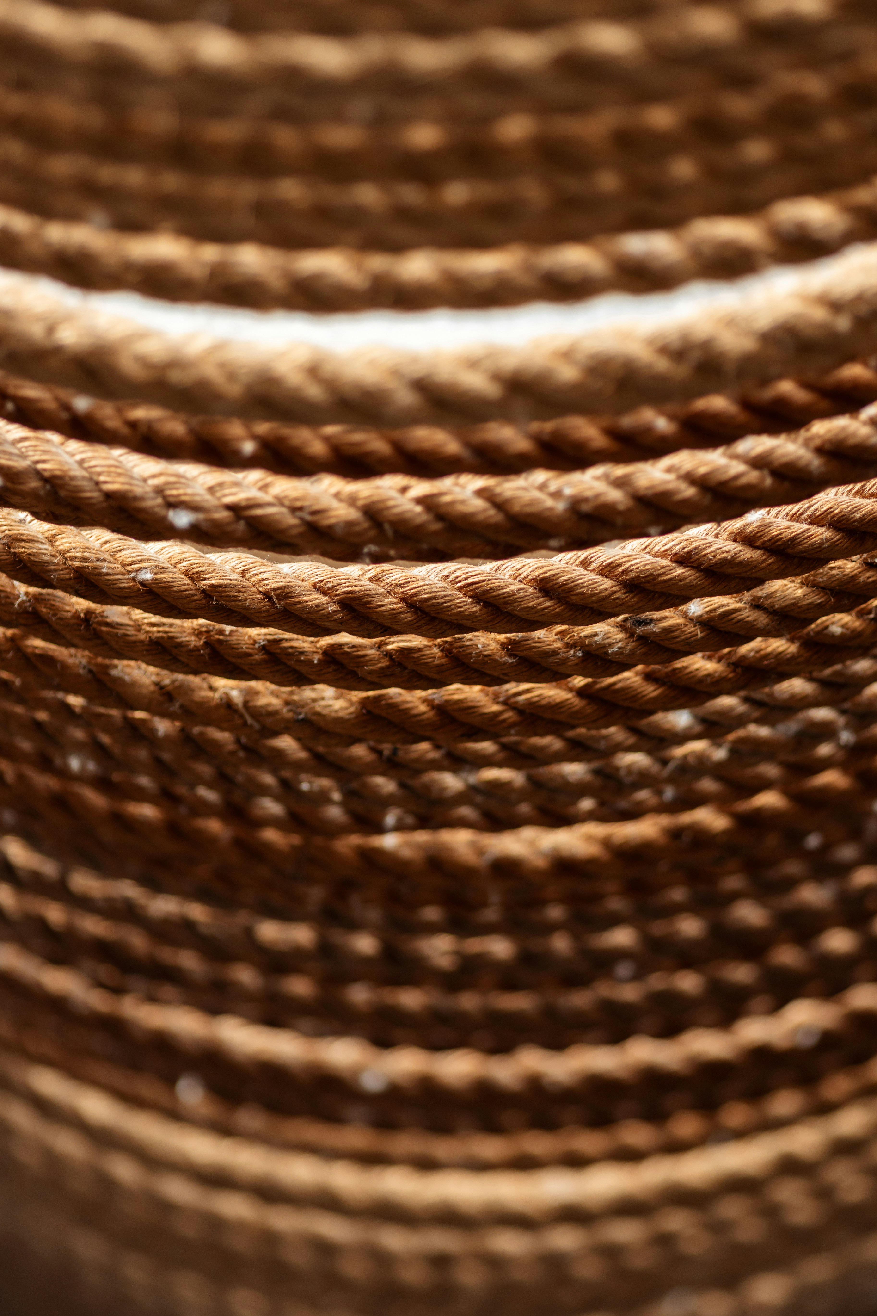 Coiled Rustic Threads: A Macro Portrait of Rope in Geometry