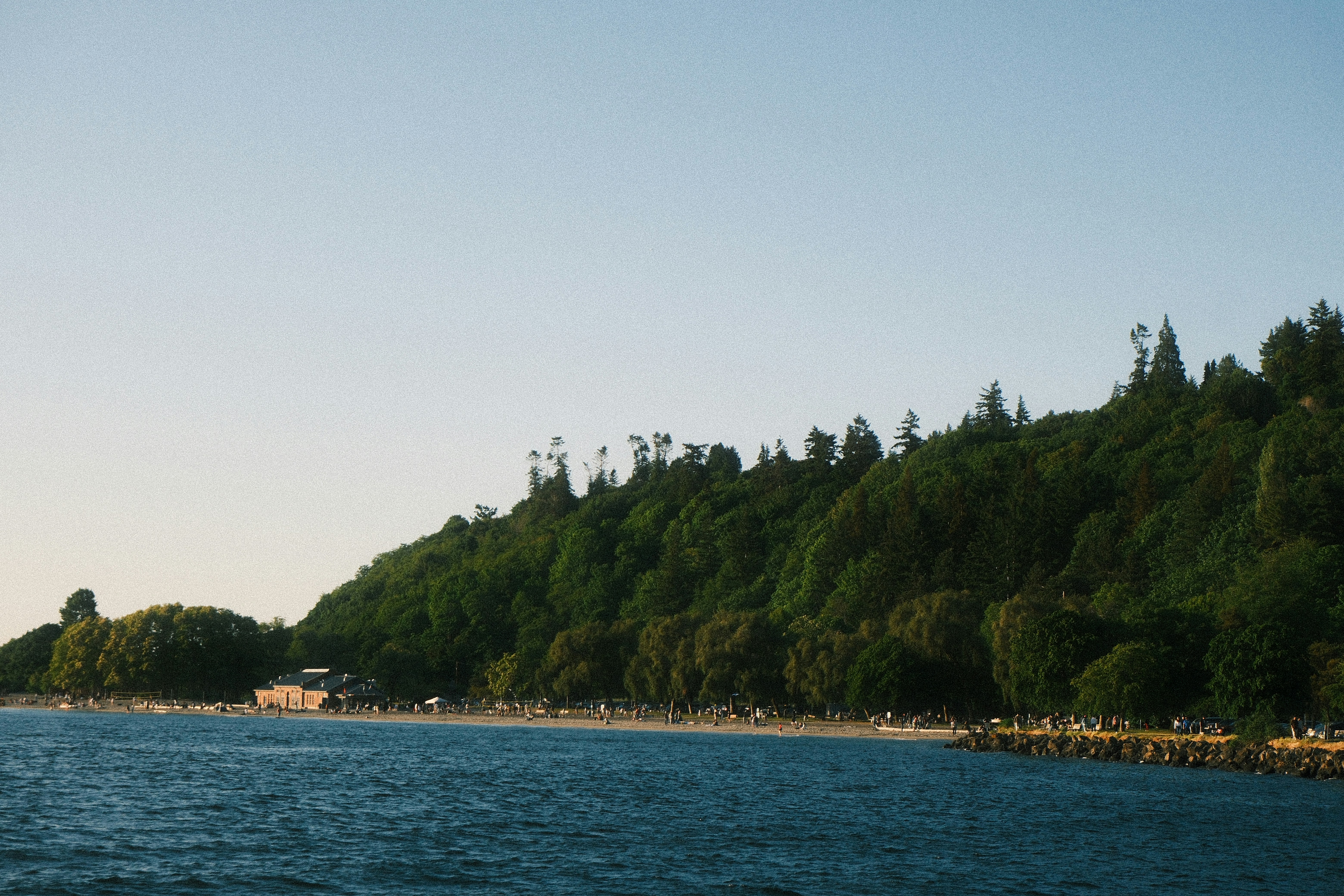 Shoreline Choir: A Quiet Convergence of Sea, Sand, and Pines
