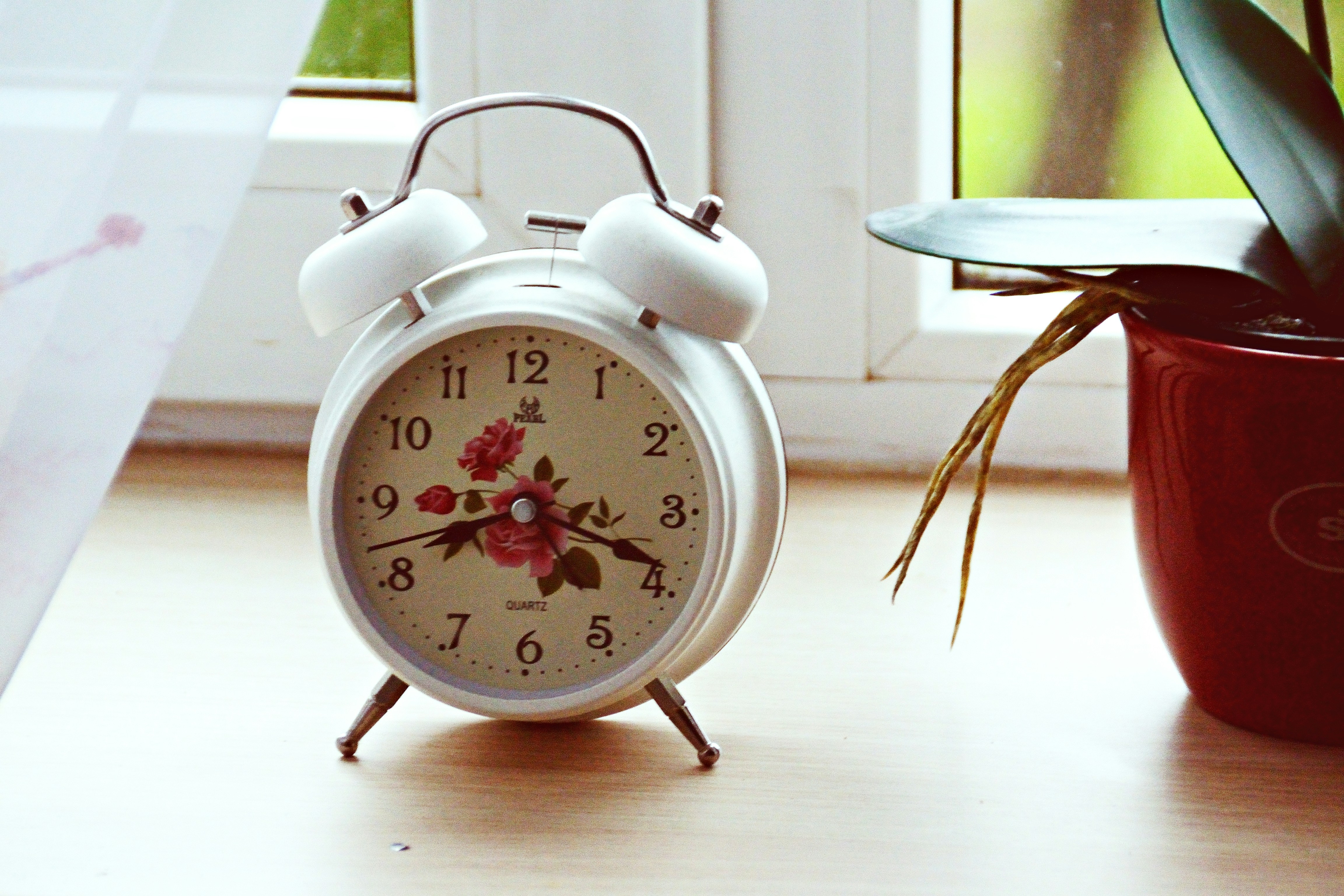 Pastel Morning: A Floral Alarm Keeps Time by the Window