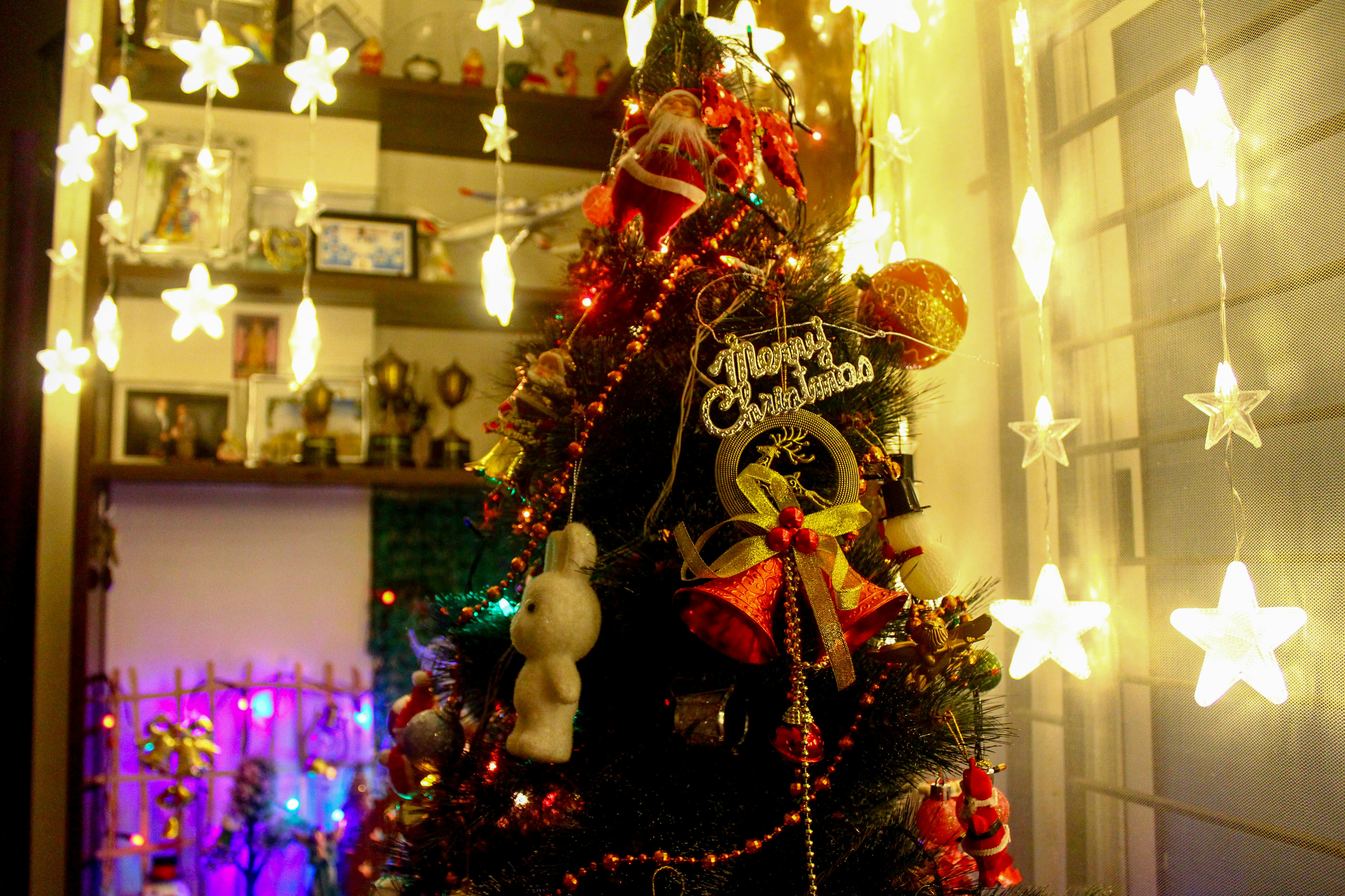 Glowing Christmas Tree in a Studio of Stars and Shelves