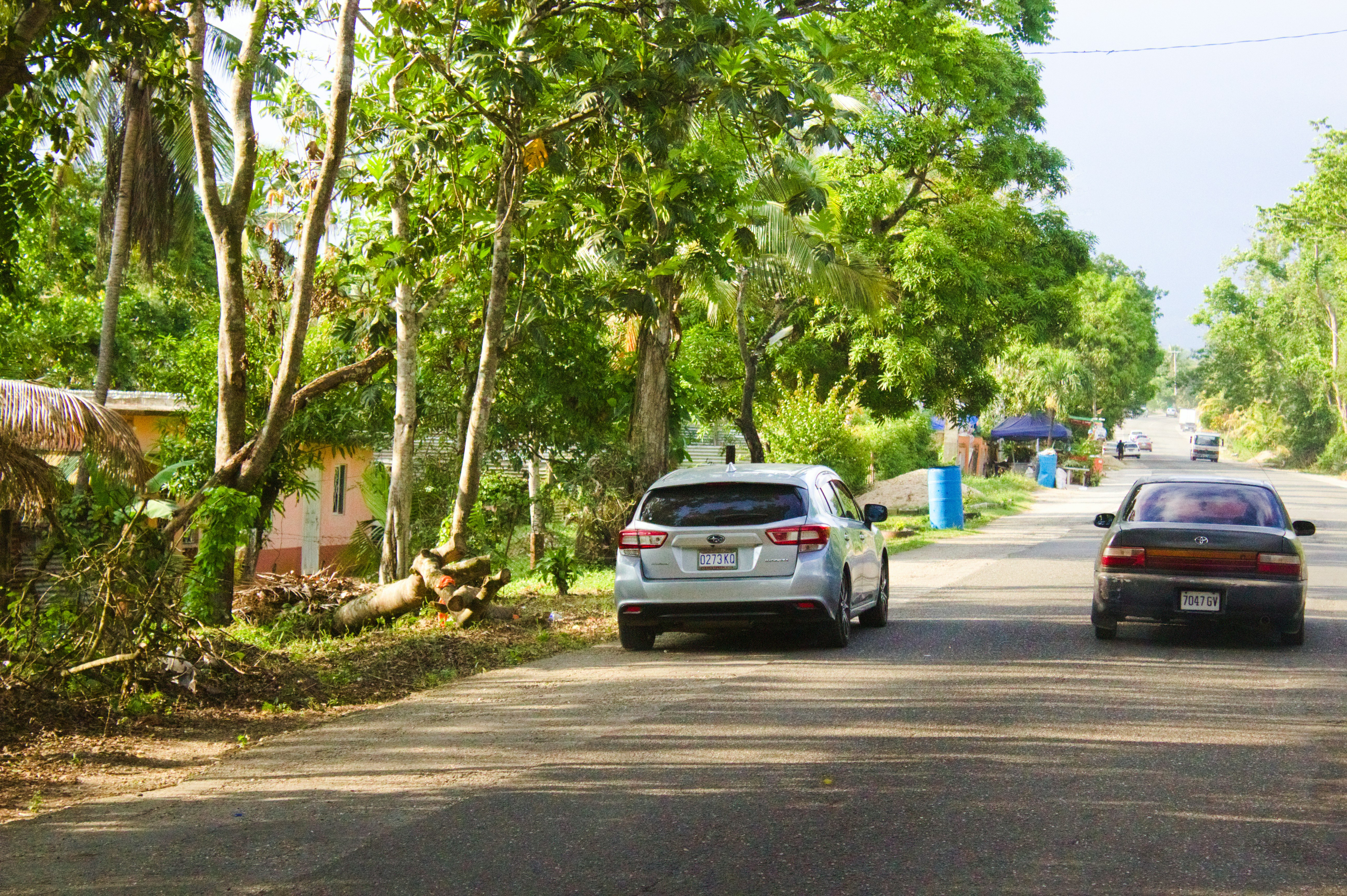 Rear-Housed Cars on a Sunlit Neighborhood Street