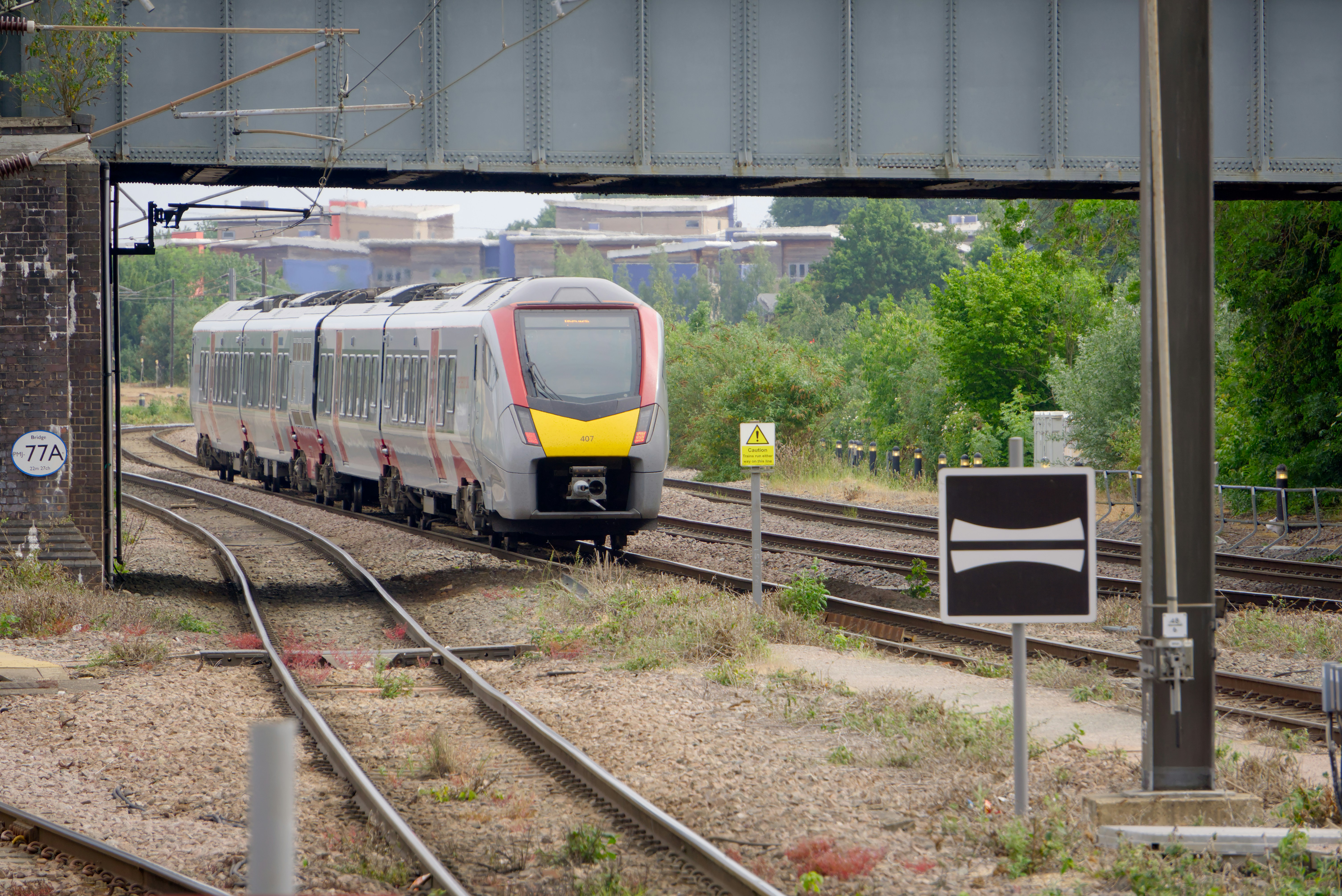 Red-Front Commuter on a Branching Rail Arc