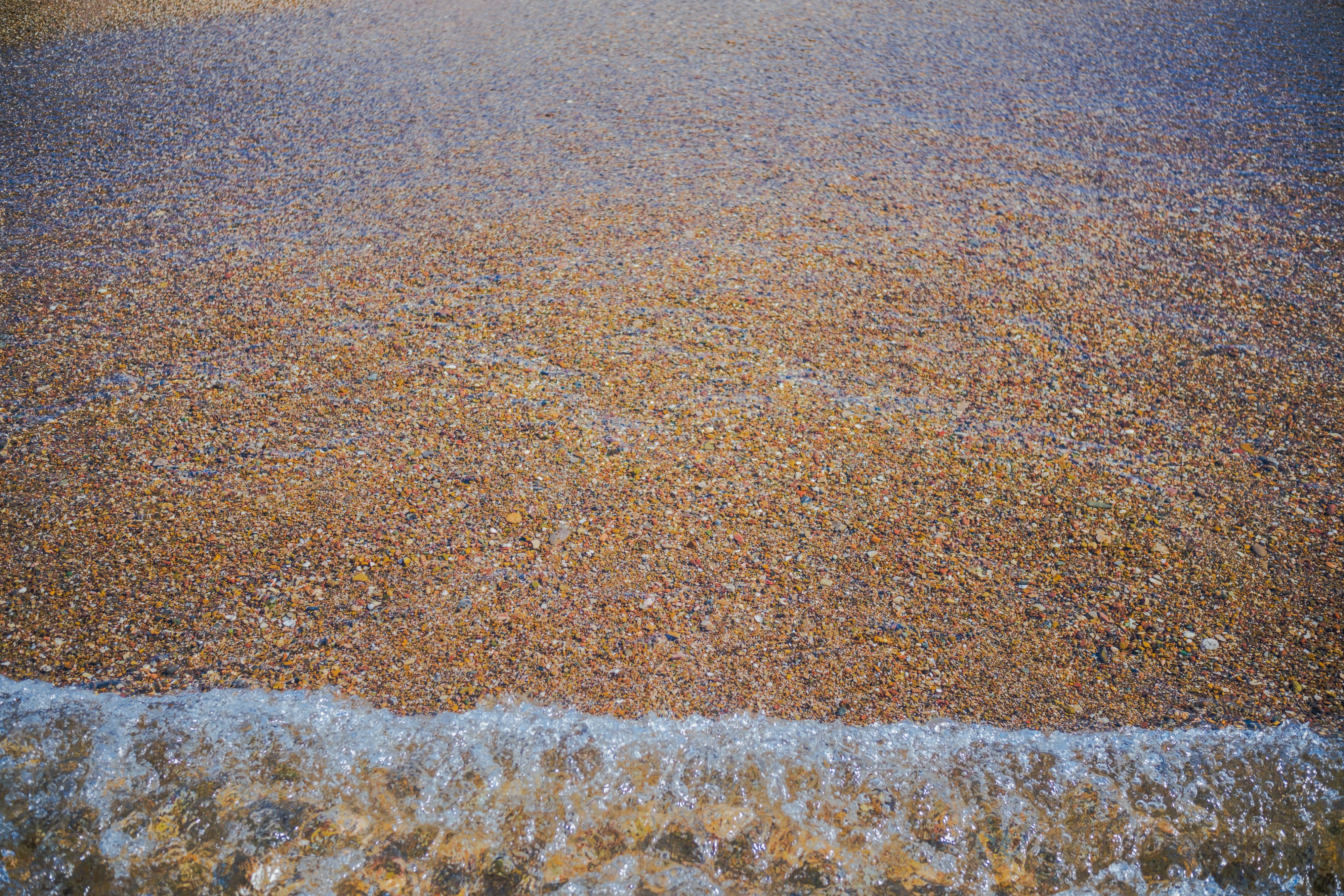 Foam Line on a Seaweed-Kissed Shore