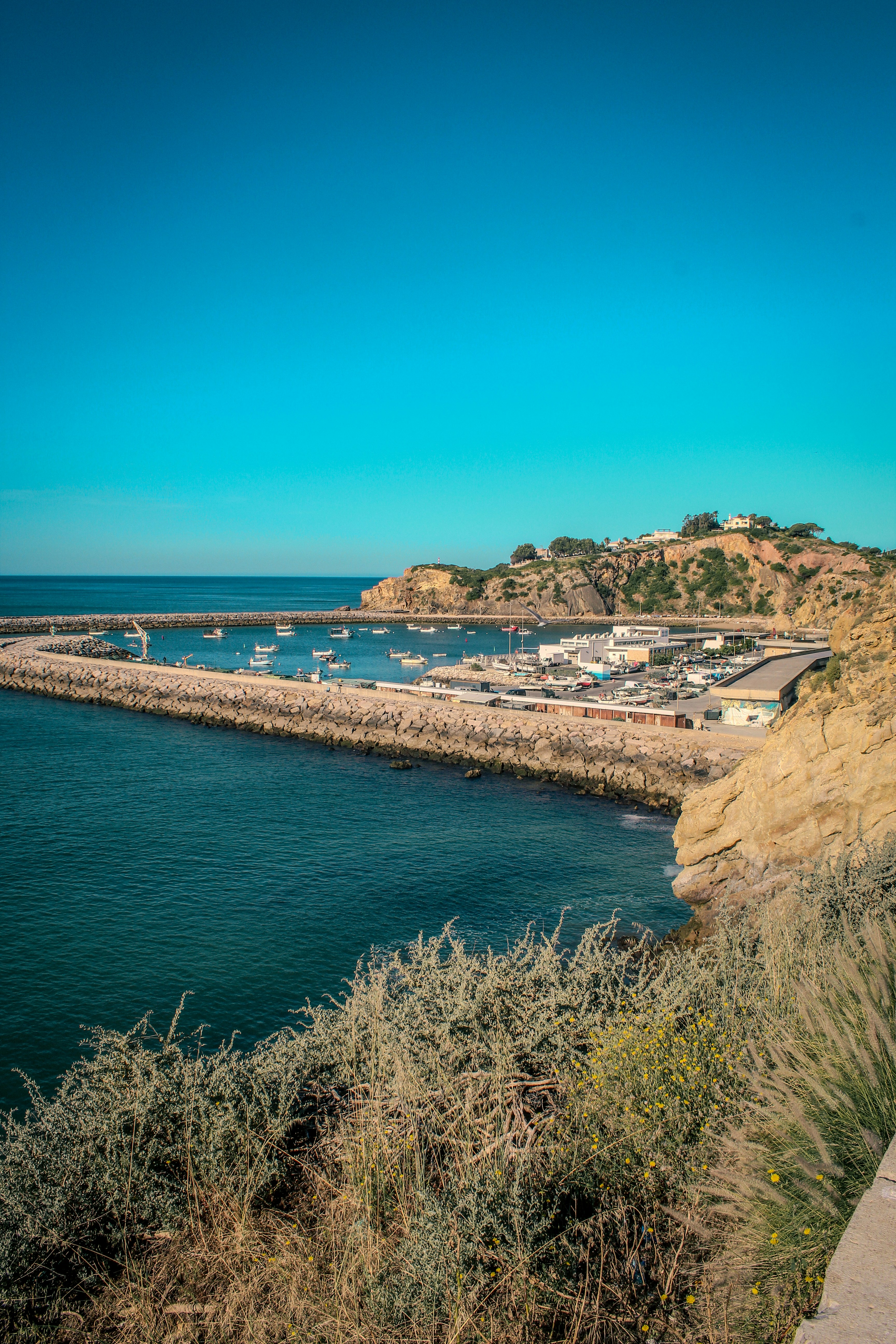 Harbor Ridge: Boats at Rest Along a Sunlit Breakwater
