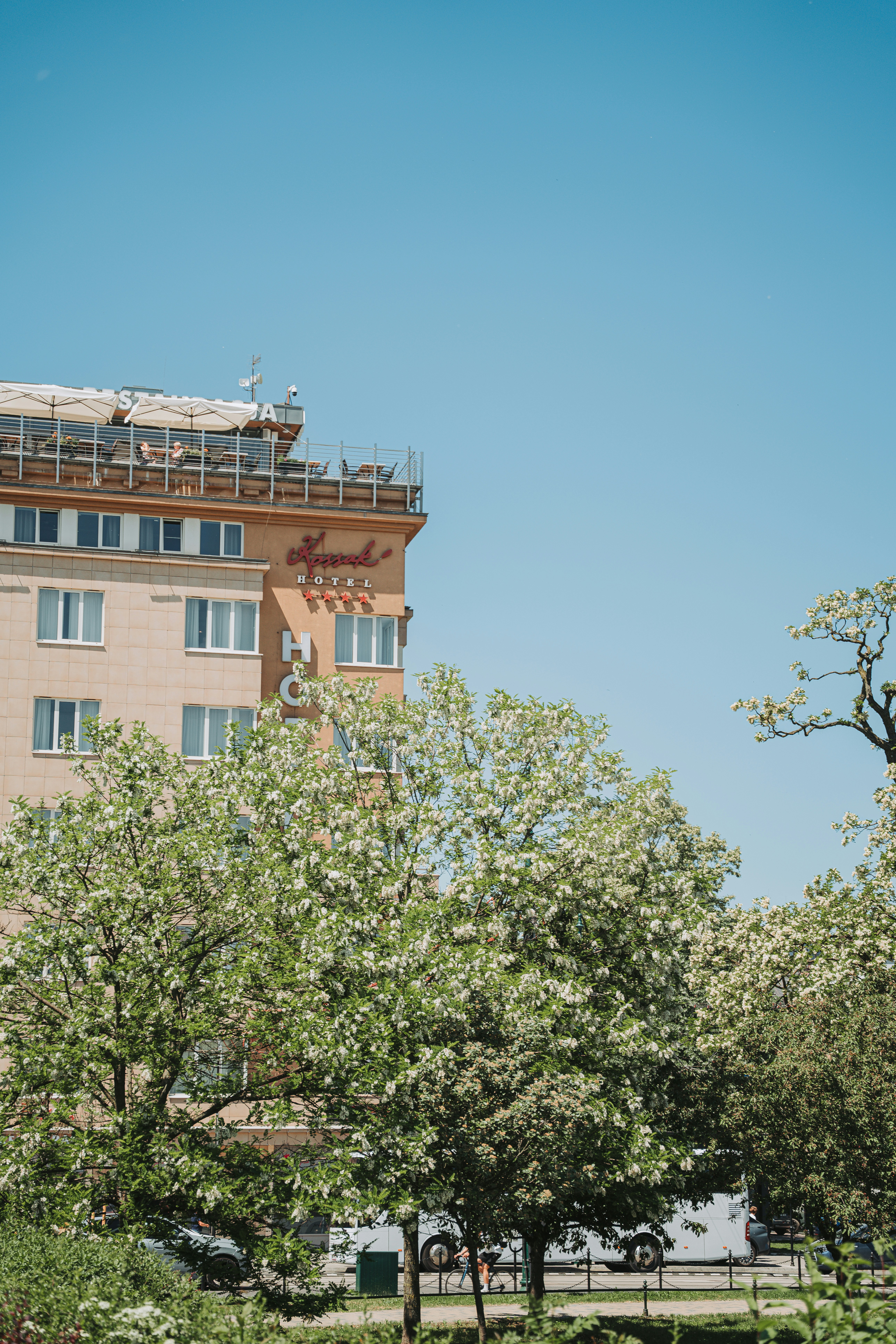 Sunlit Hotel Facade Rising Above Spring Blossoms