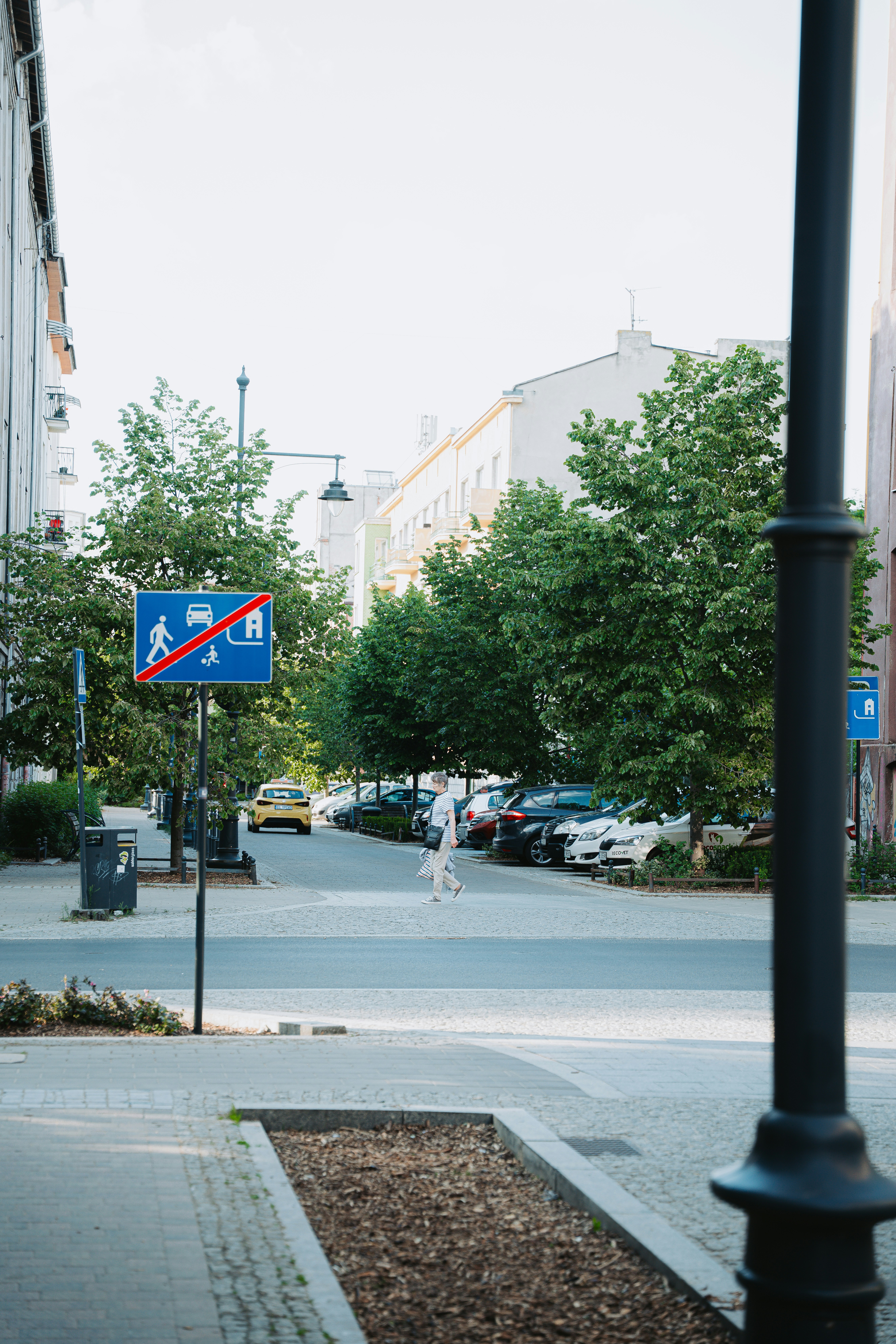 Crosswalk Quiet: A Street in Bloom