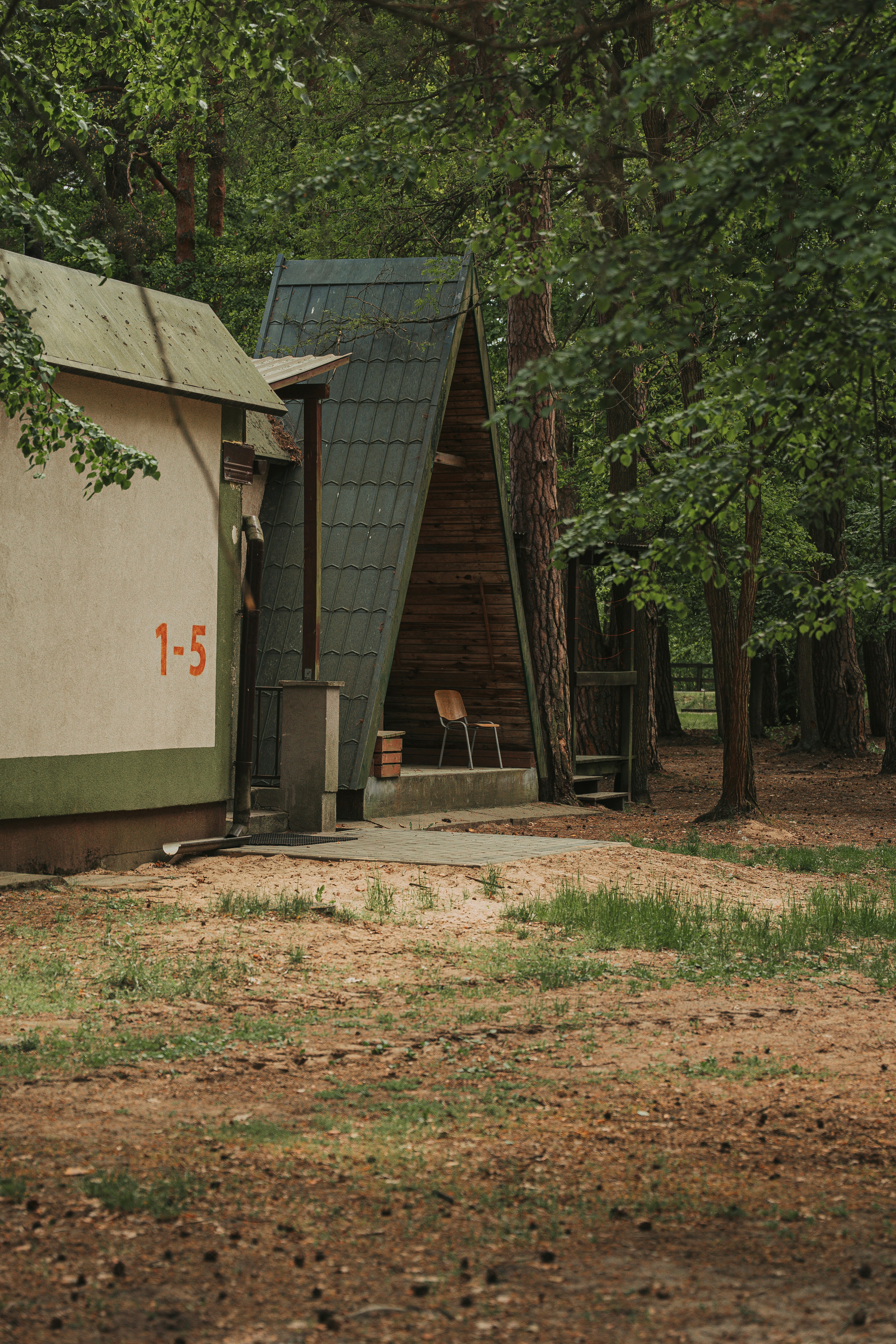 Silent Shelter: A Cluster of Cedar and Concrete