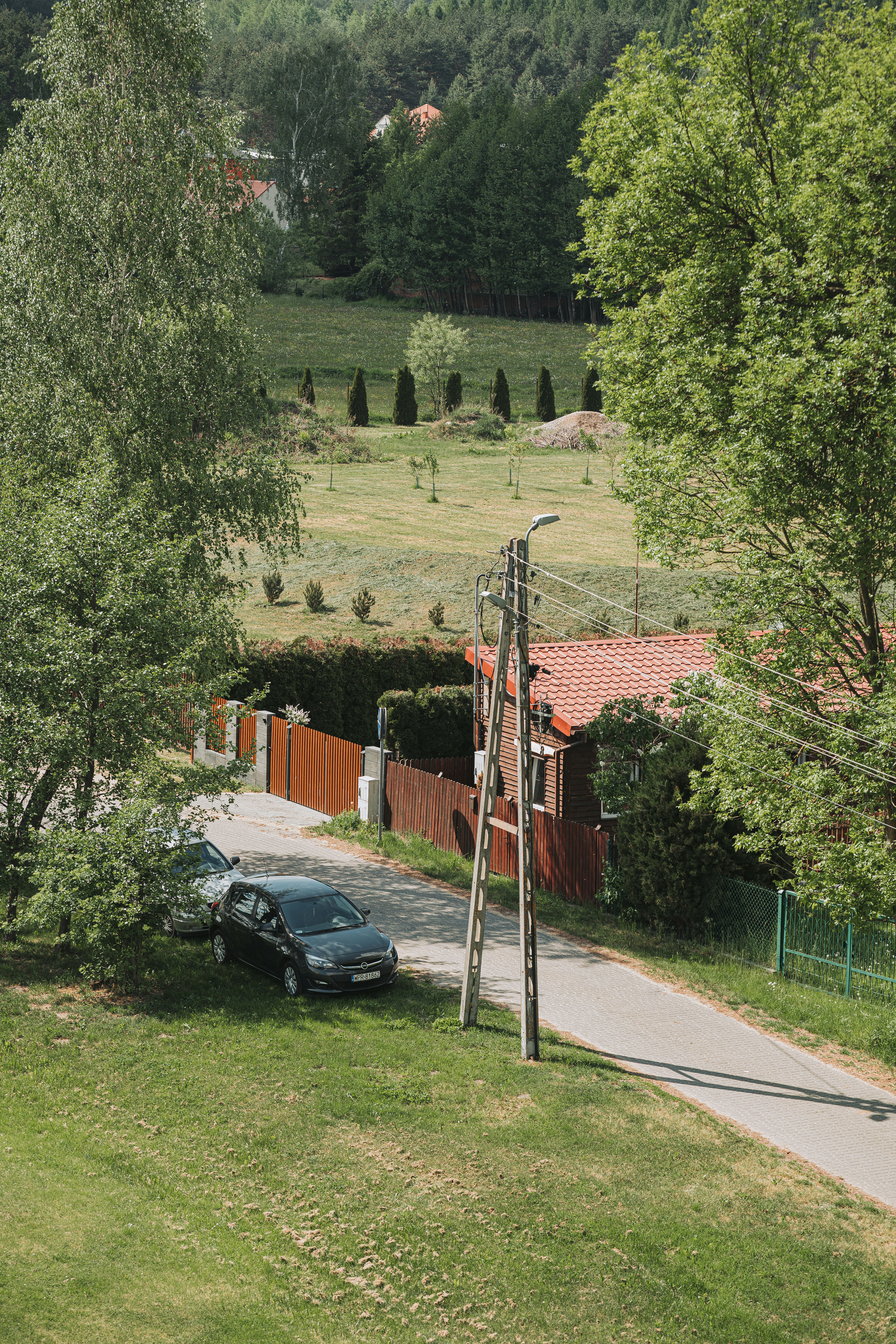 Quiet Lane to a Verdant Village