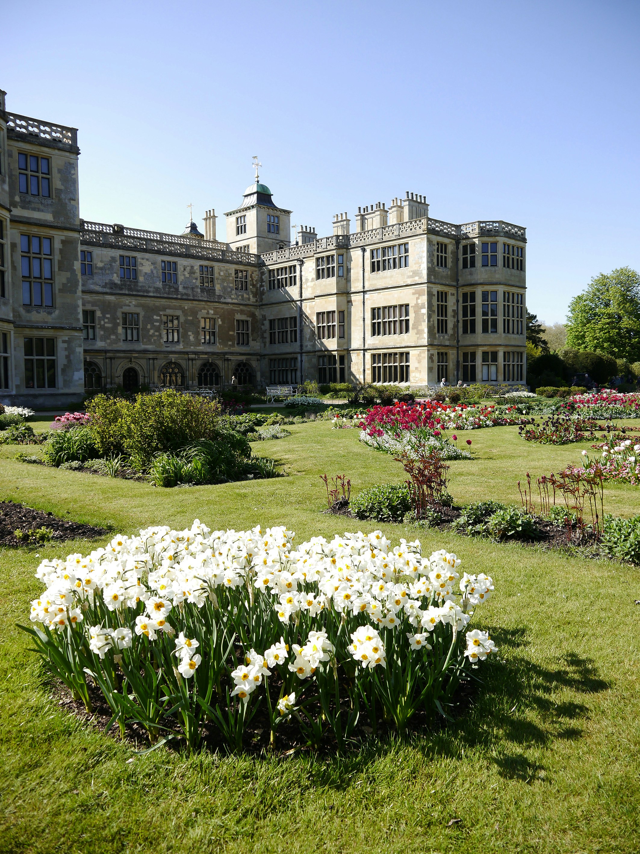 Manor in Bloom: A Sunlit Garden Framed by Historic Facades