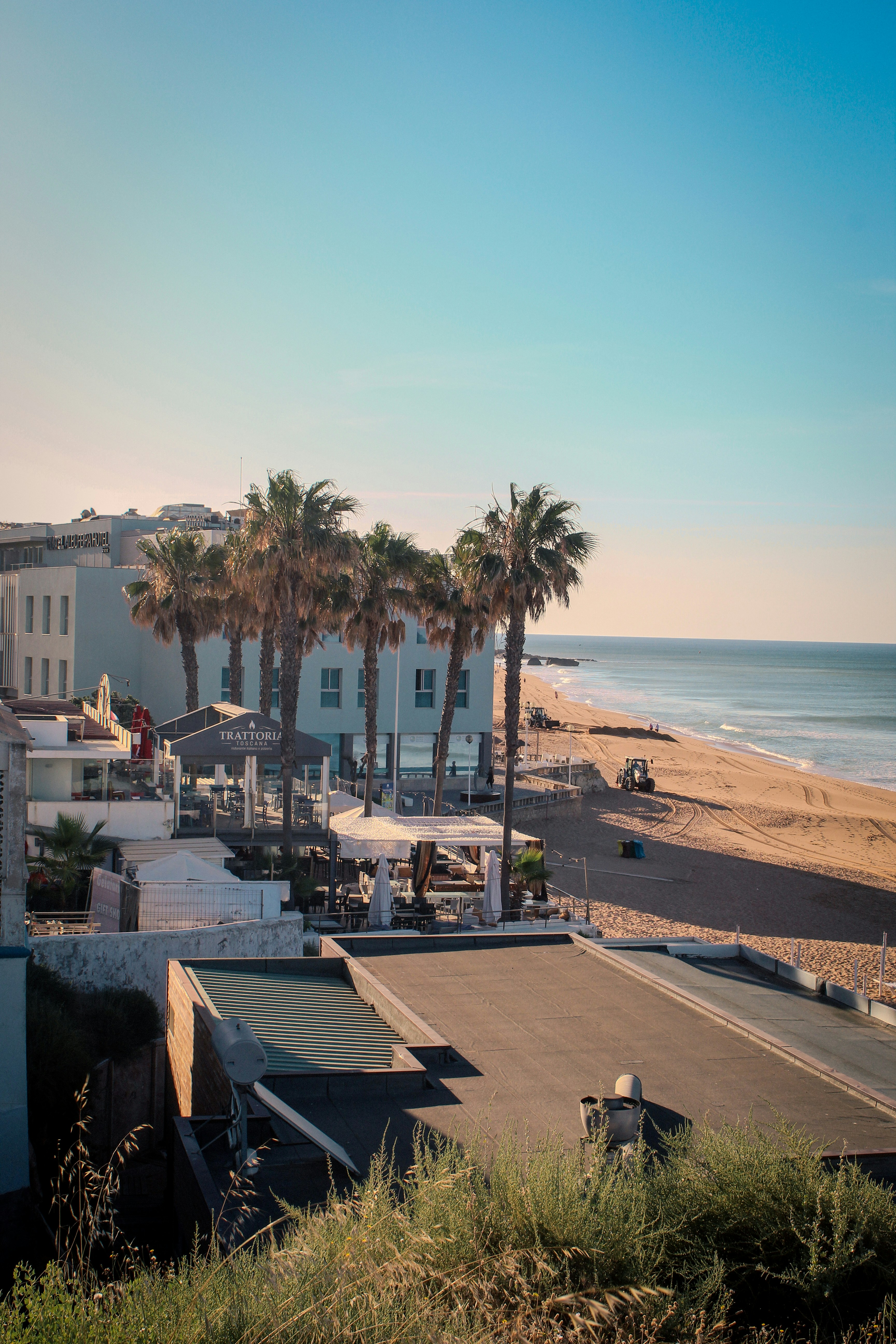 Beachfront buildings and palm trees under a clear blue sky.