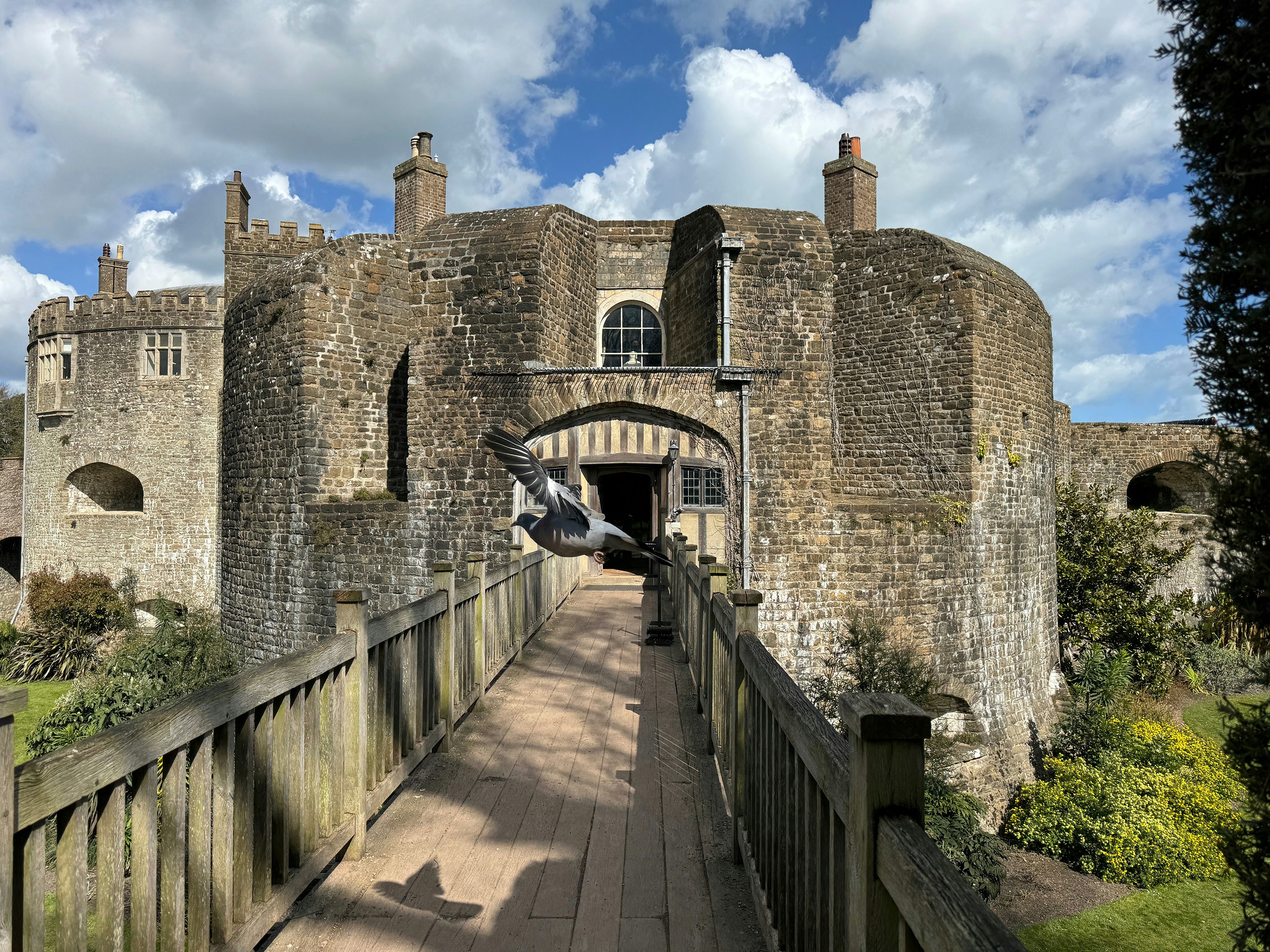 Gateway to the Citadel: A Seafront Castle Linked by a Wood-Cloaked Bridge