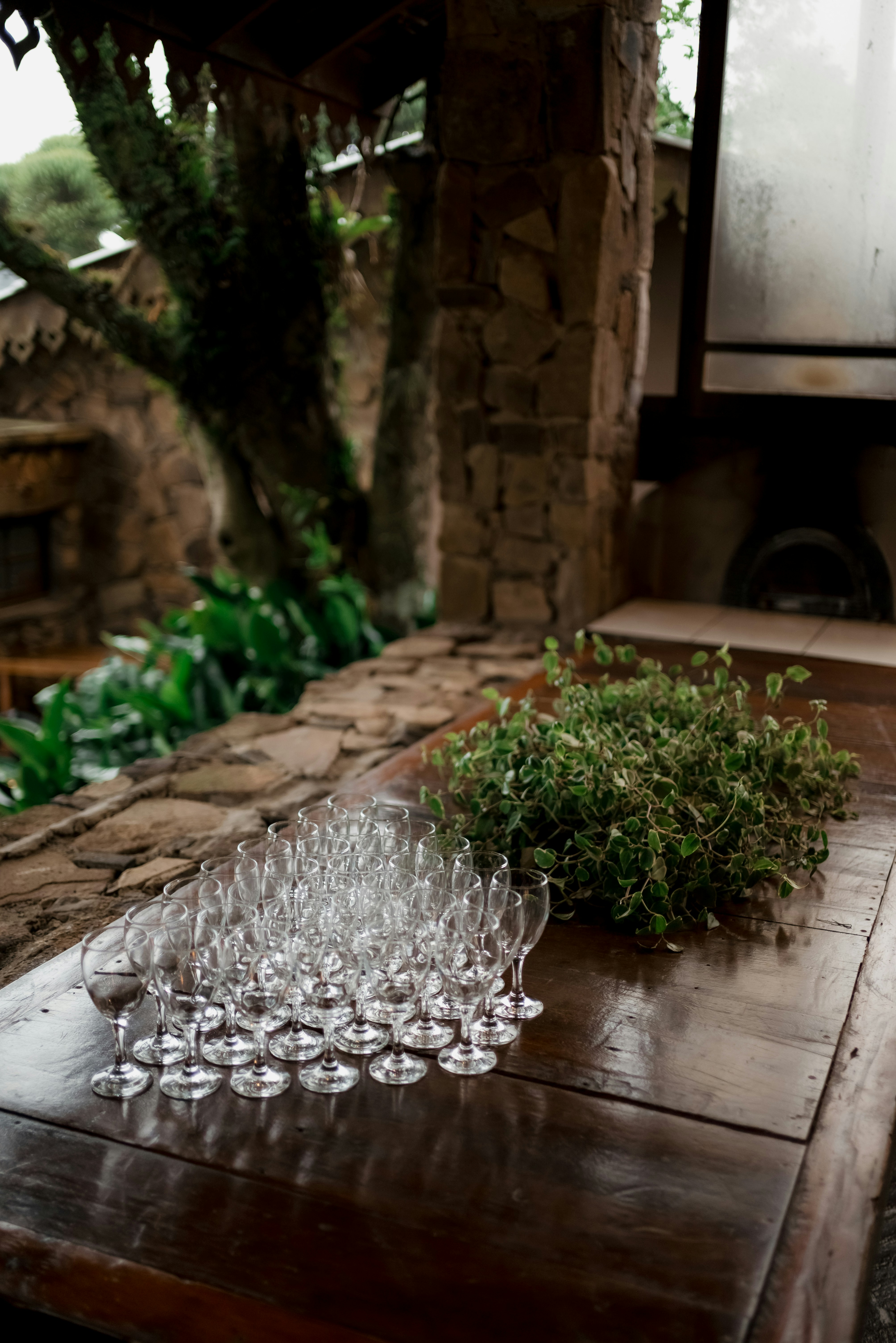 Empty champagne flutes and green herbs on a wooden table.