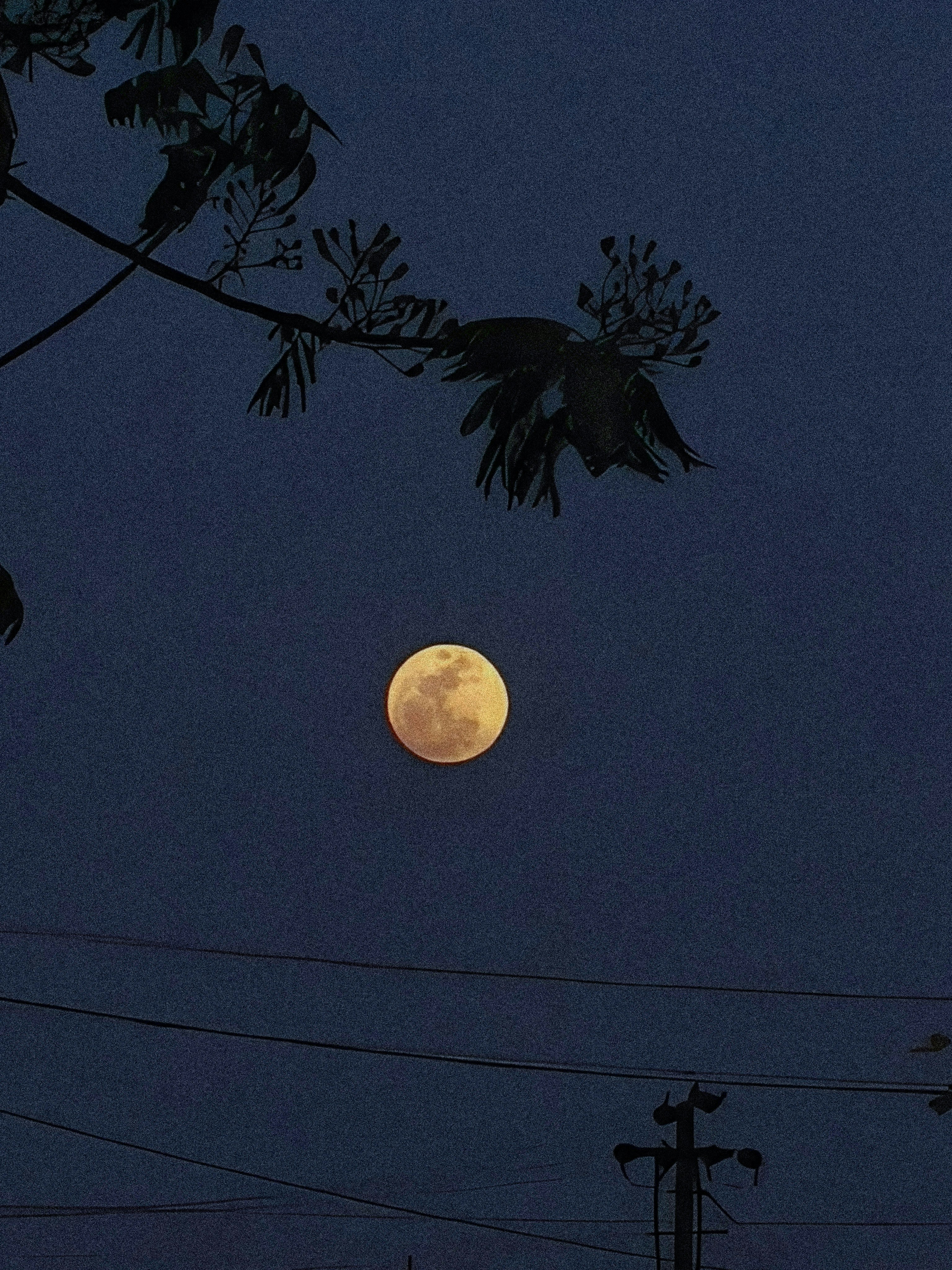 Moonrise Over Quiet Wires