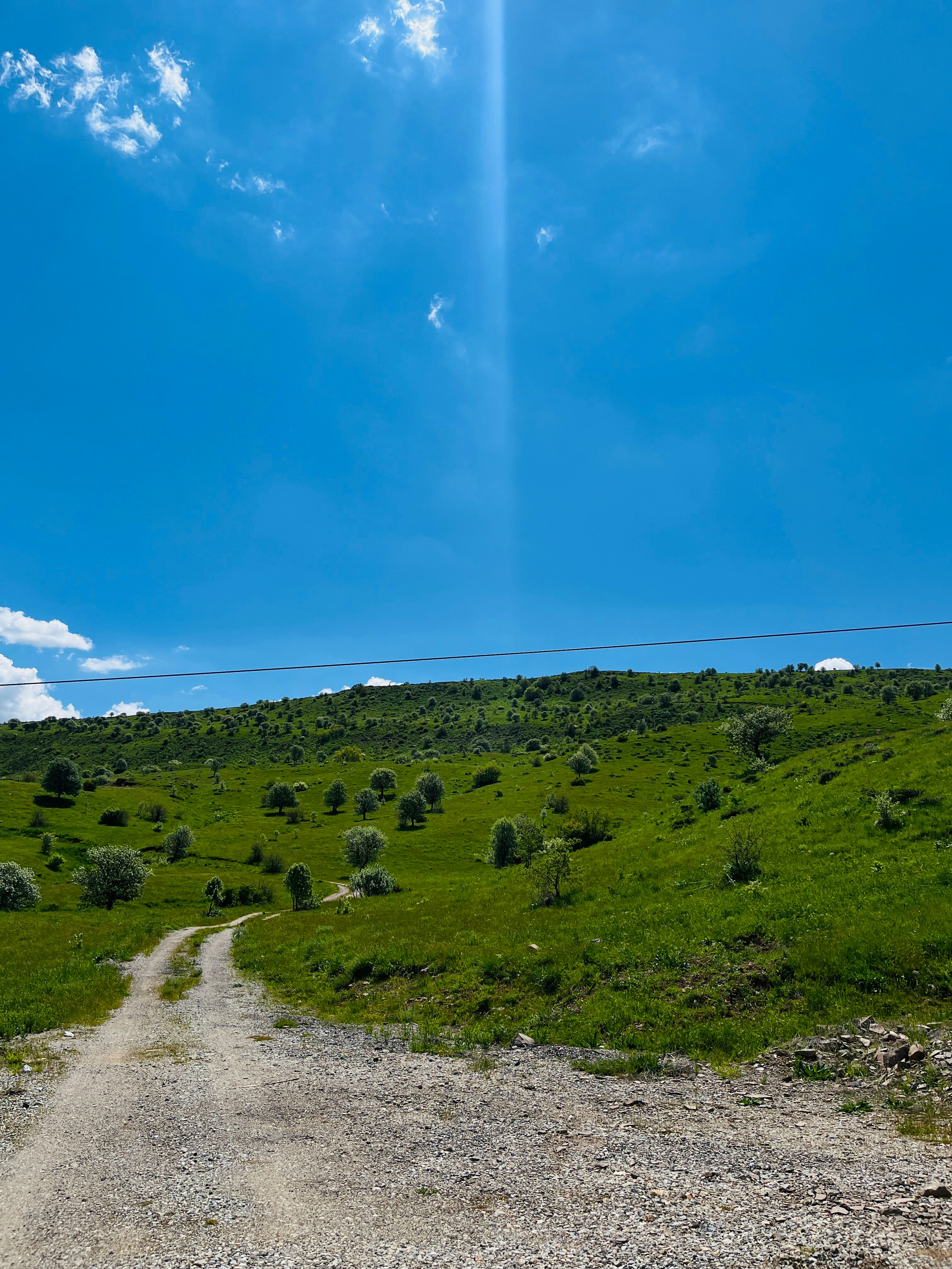 Sunny green hillside with a winding dirt path.