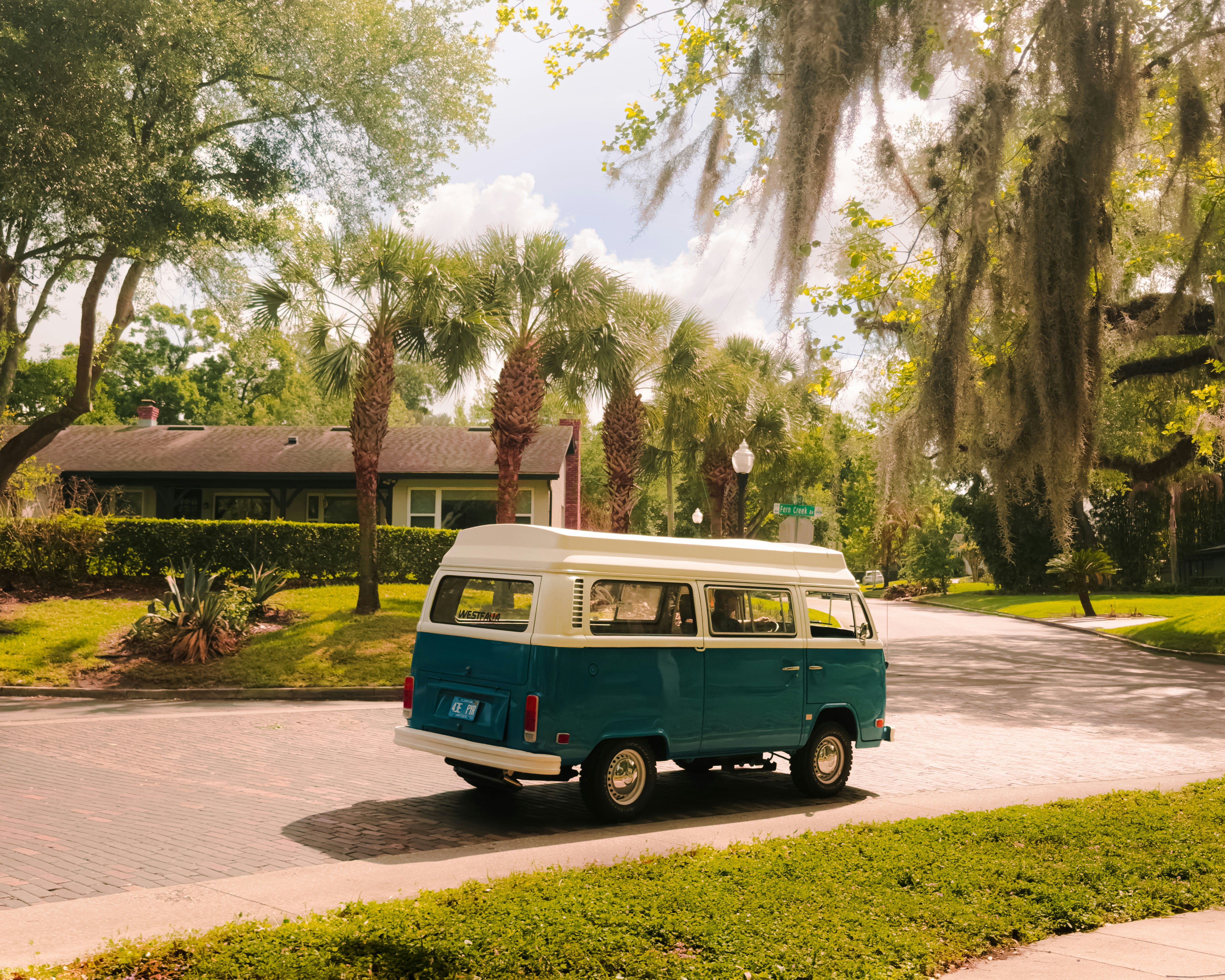 Teal-Van Time Capsule on a Palm-Streaked Street