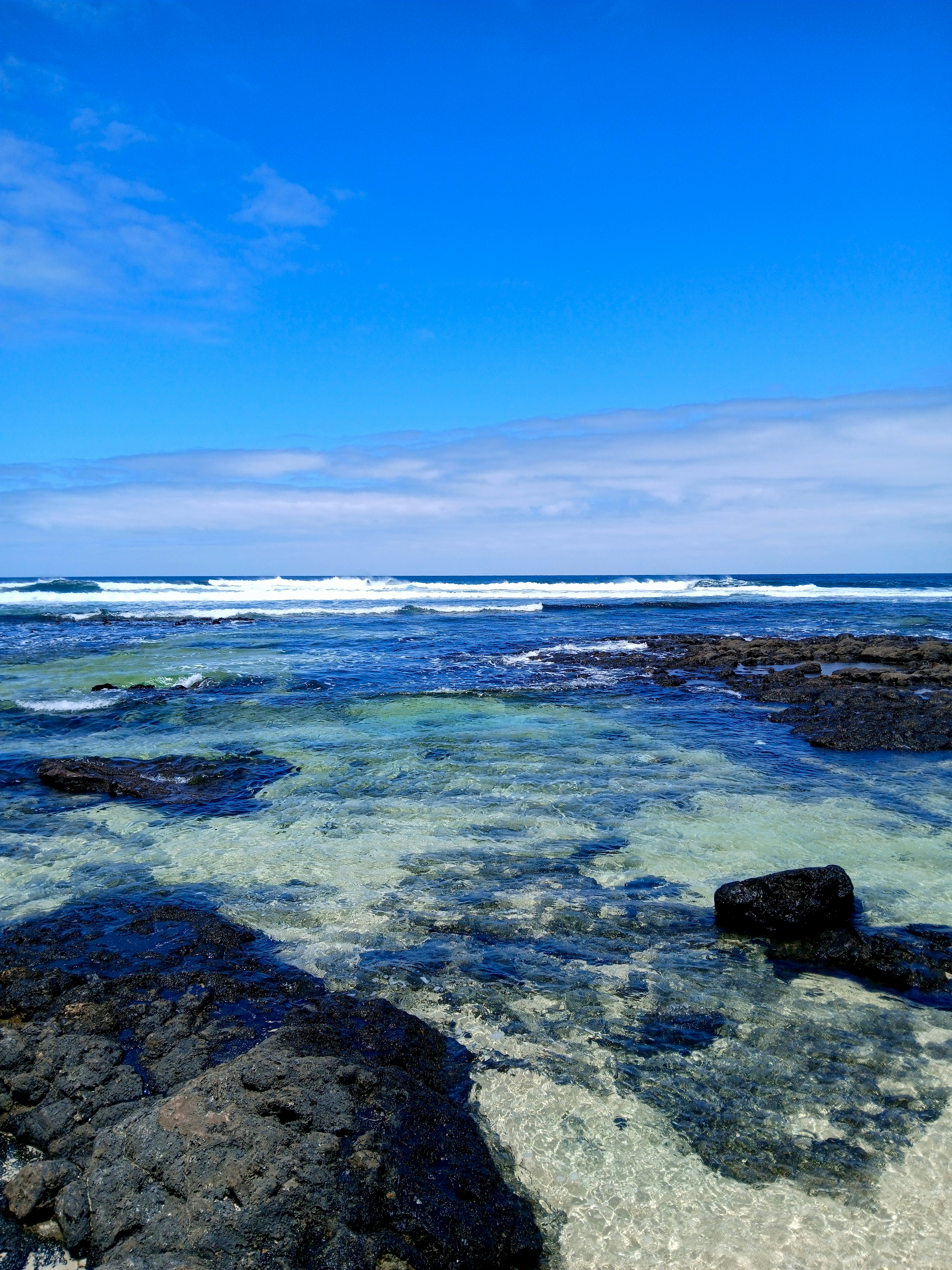 Rocky ocean shore with clear water and blue sky.