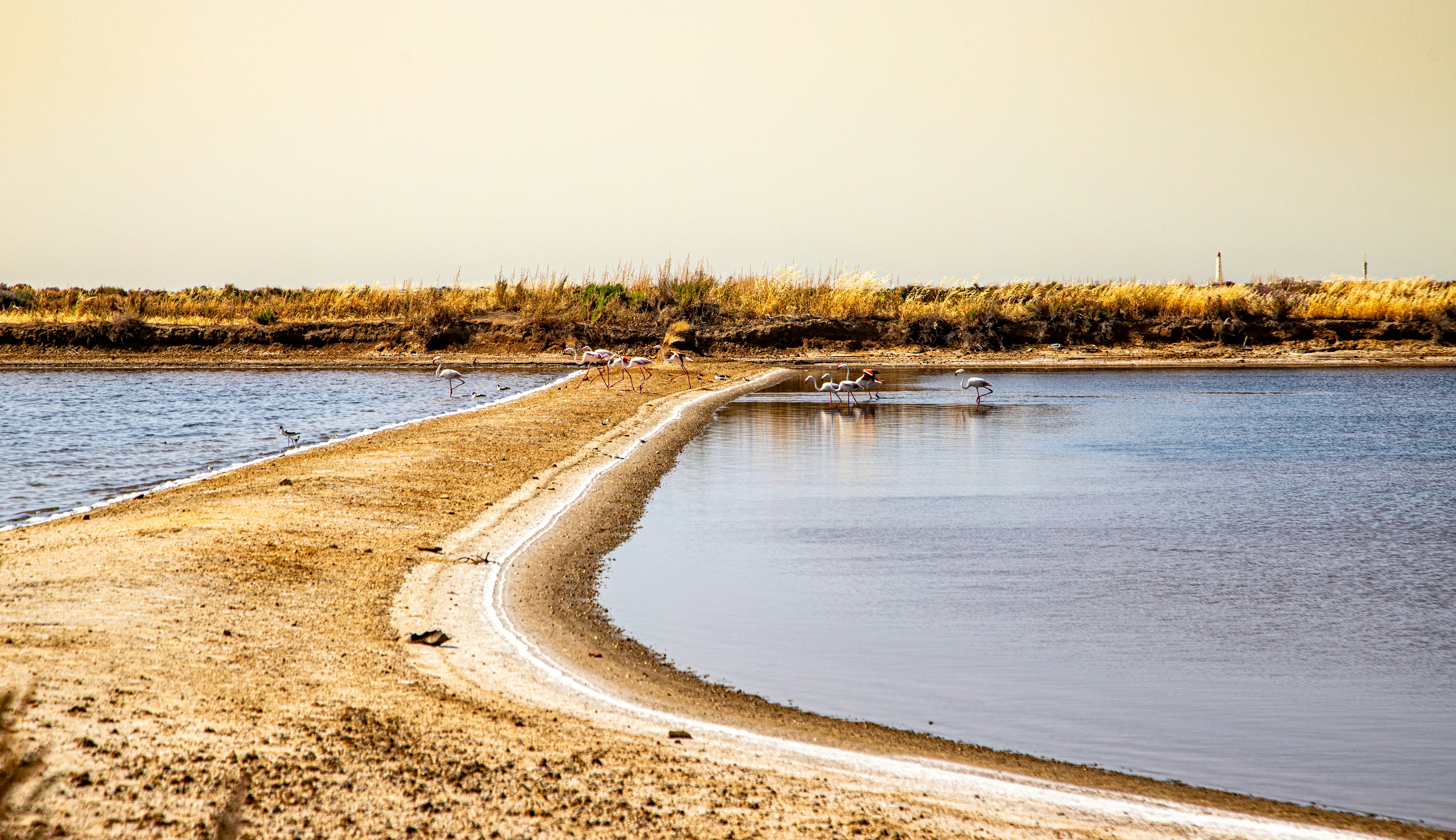 Curved Sand Spit Reaching Toward the Quiet Marsh