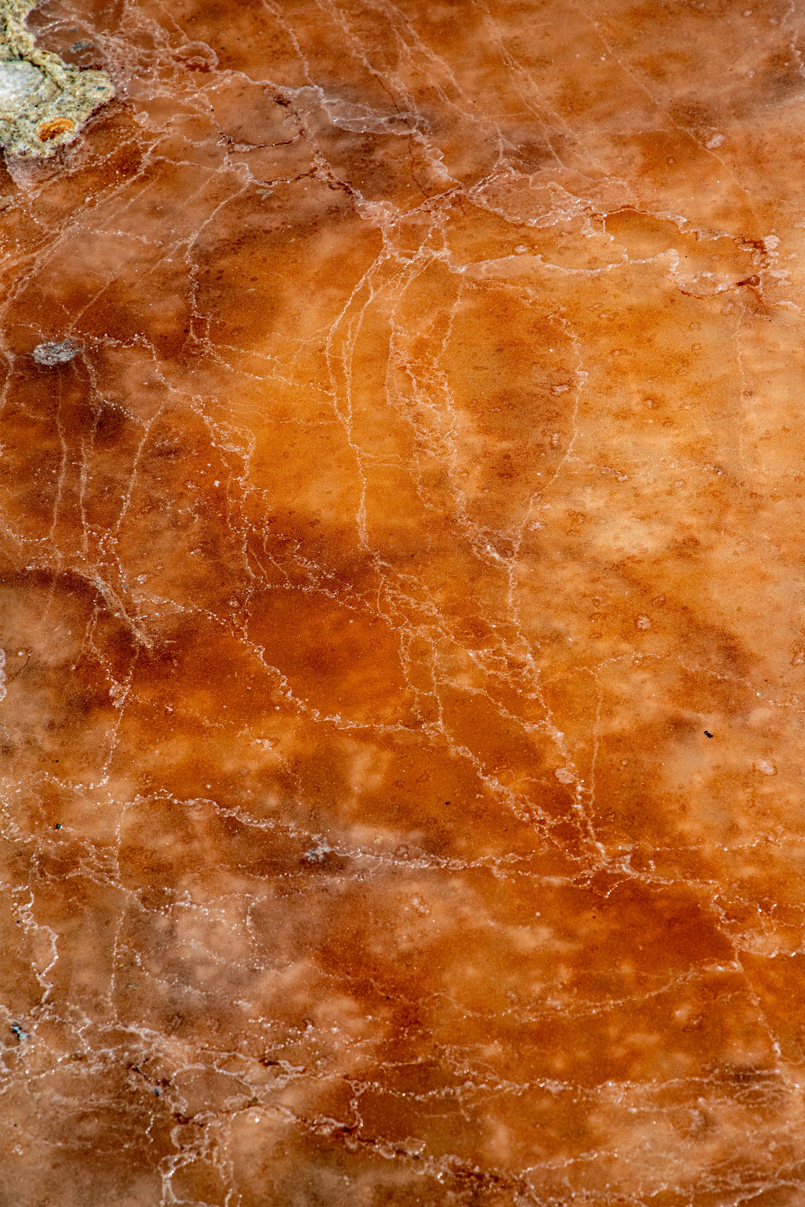 Warmed Veins of Stone: A Close-Up of Ocher Marble Veins