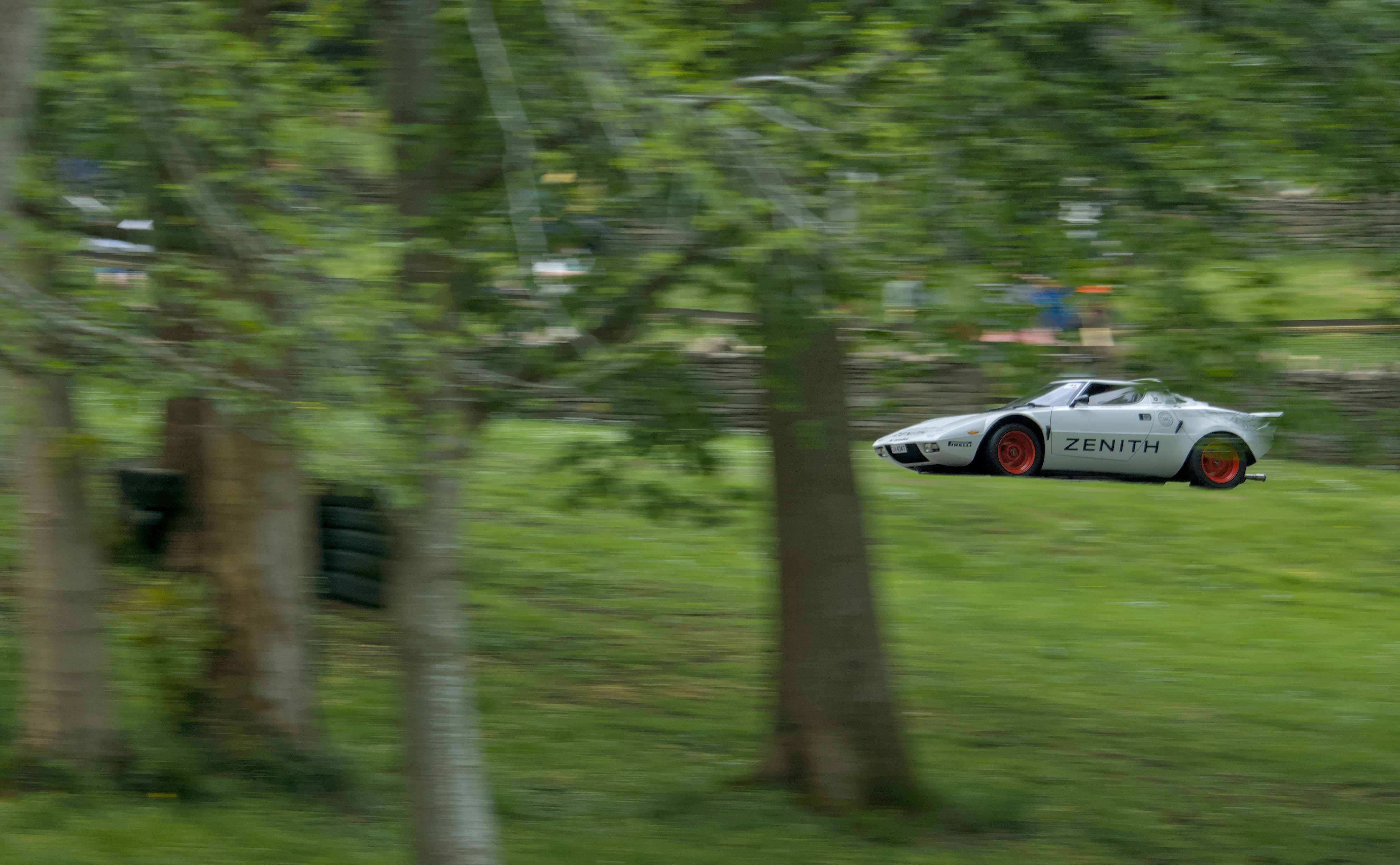 Jet of Speed Through the Park: A Racing Car Fleeting Past Green Canopy