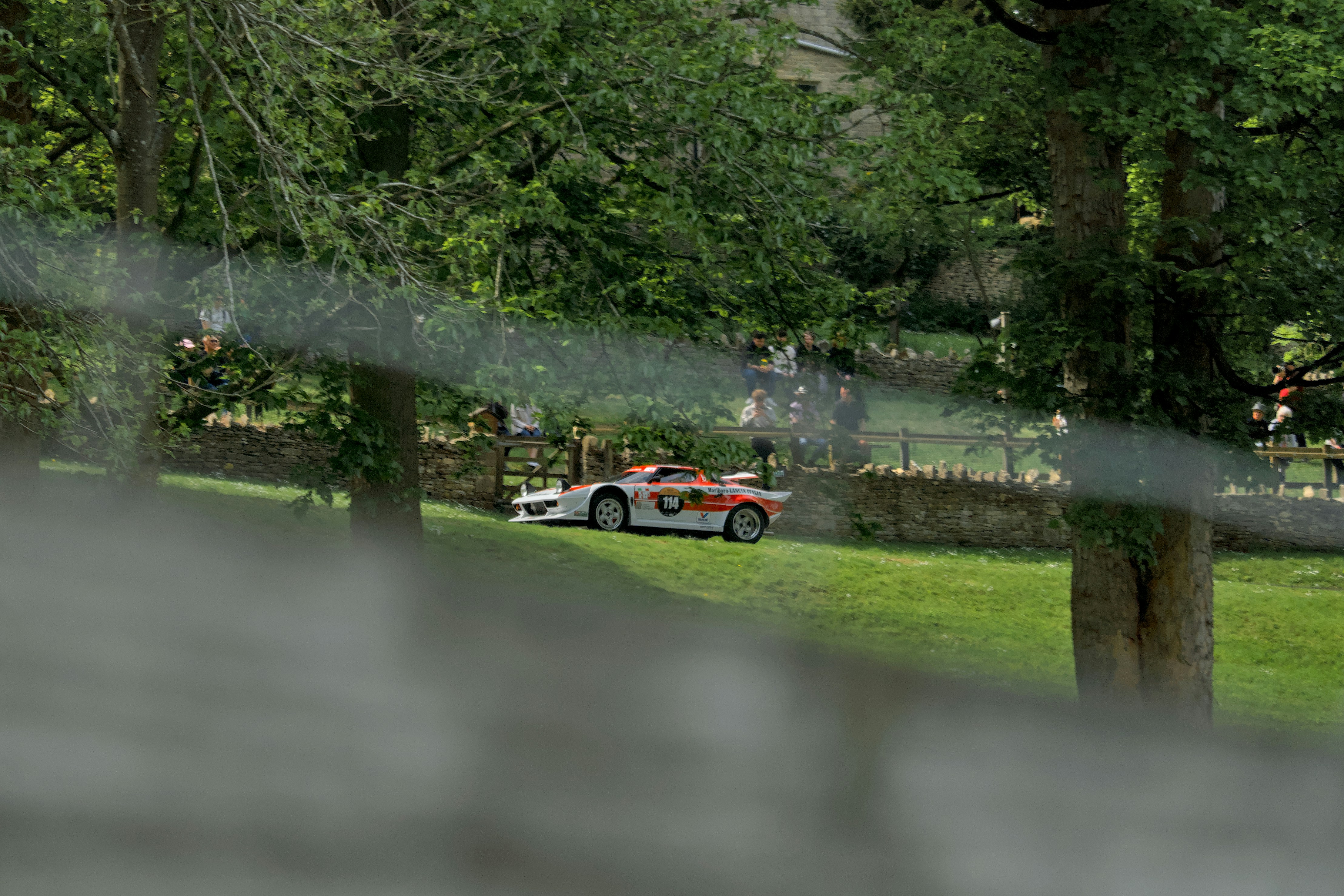 A Rally Prototype Emerges Through the Garden Veil
